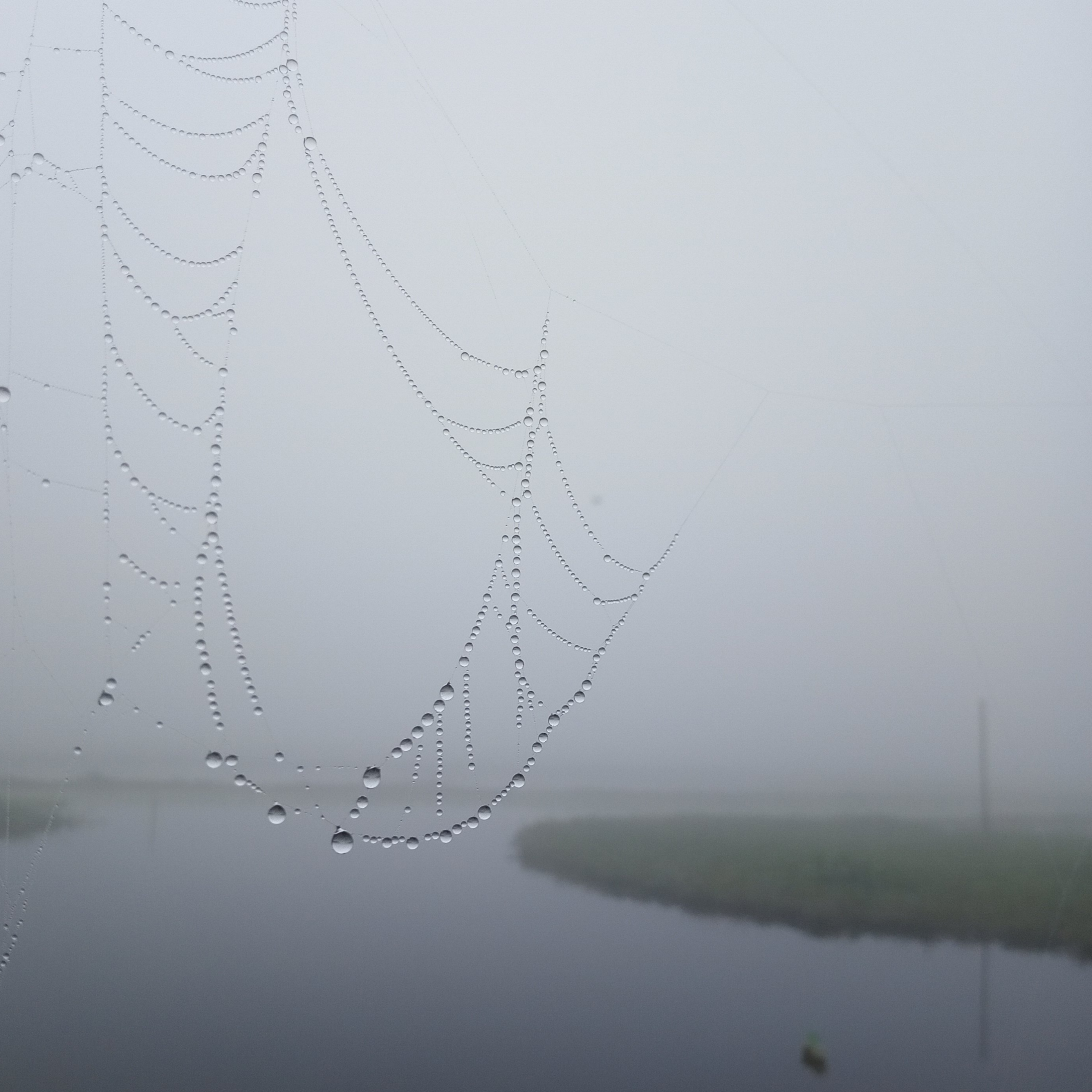 A body of water surrounded by fog and water droplets photo – Free ...