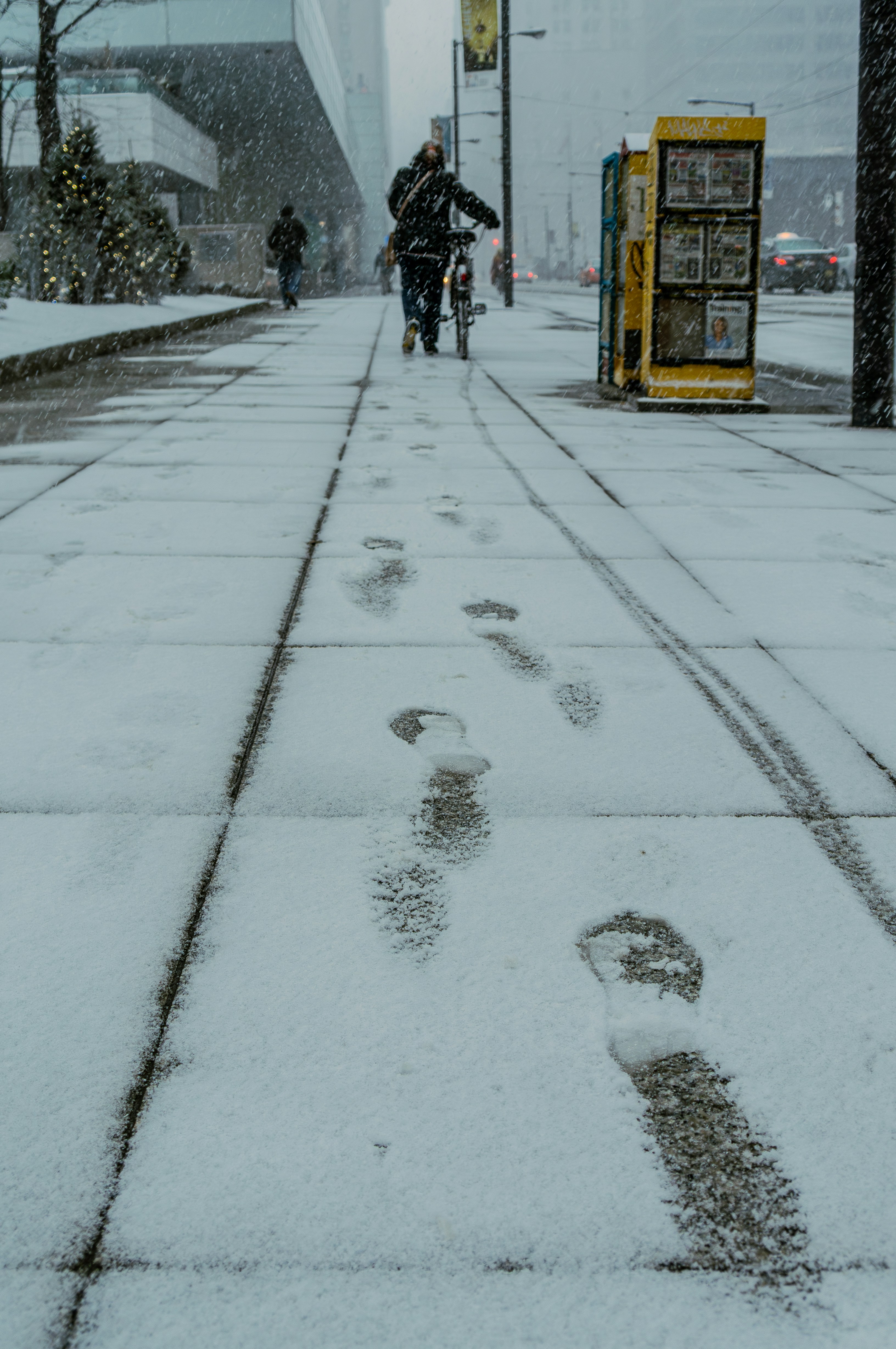 Photo by Kyle Hinkson with Sony Alpha F3