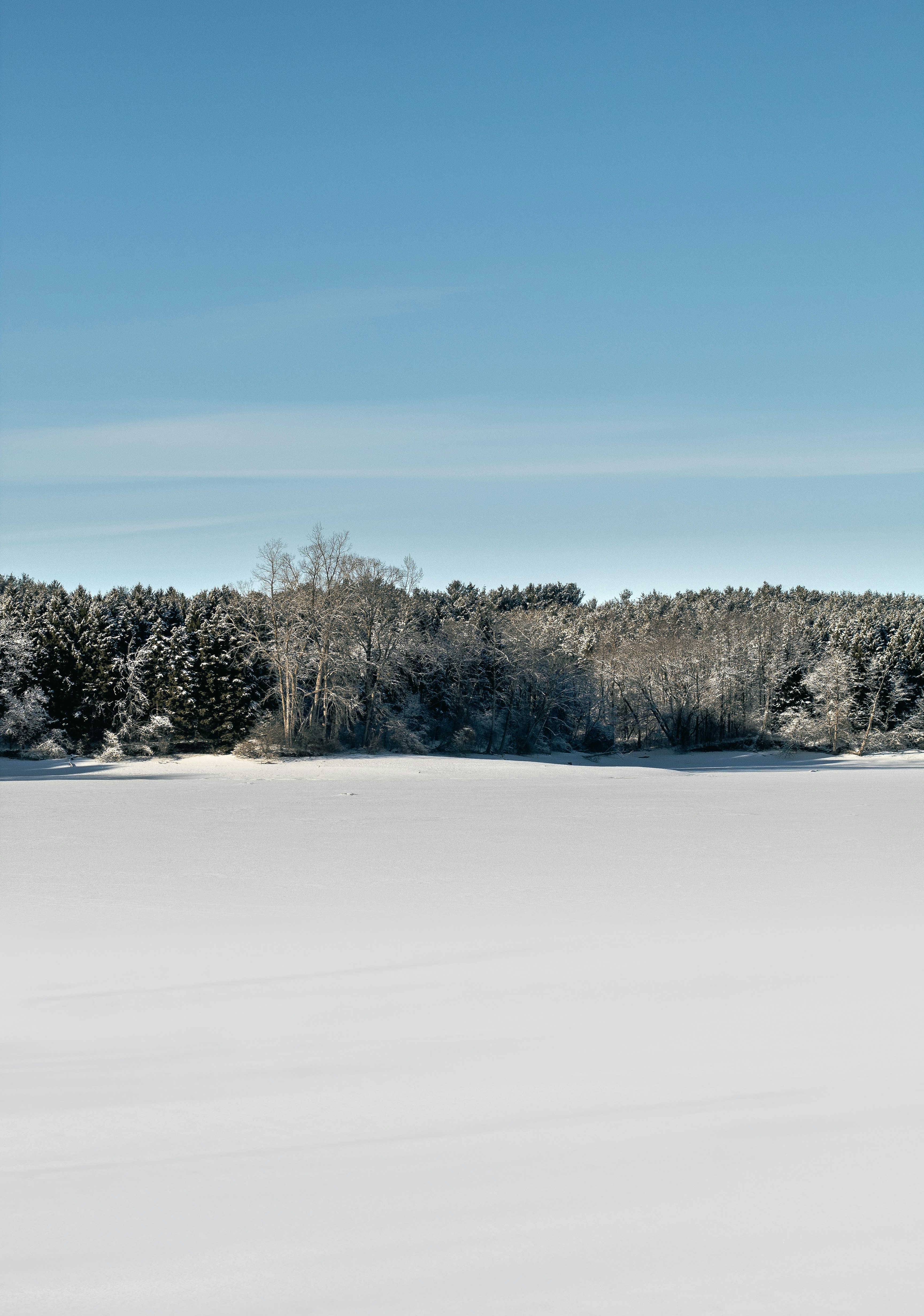 Horizon of Frost: The Snow-White Edge Beneath a Clear Blue Sky
