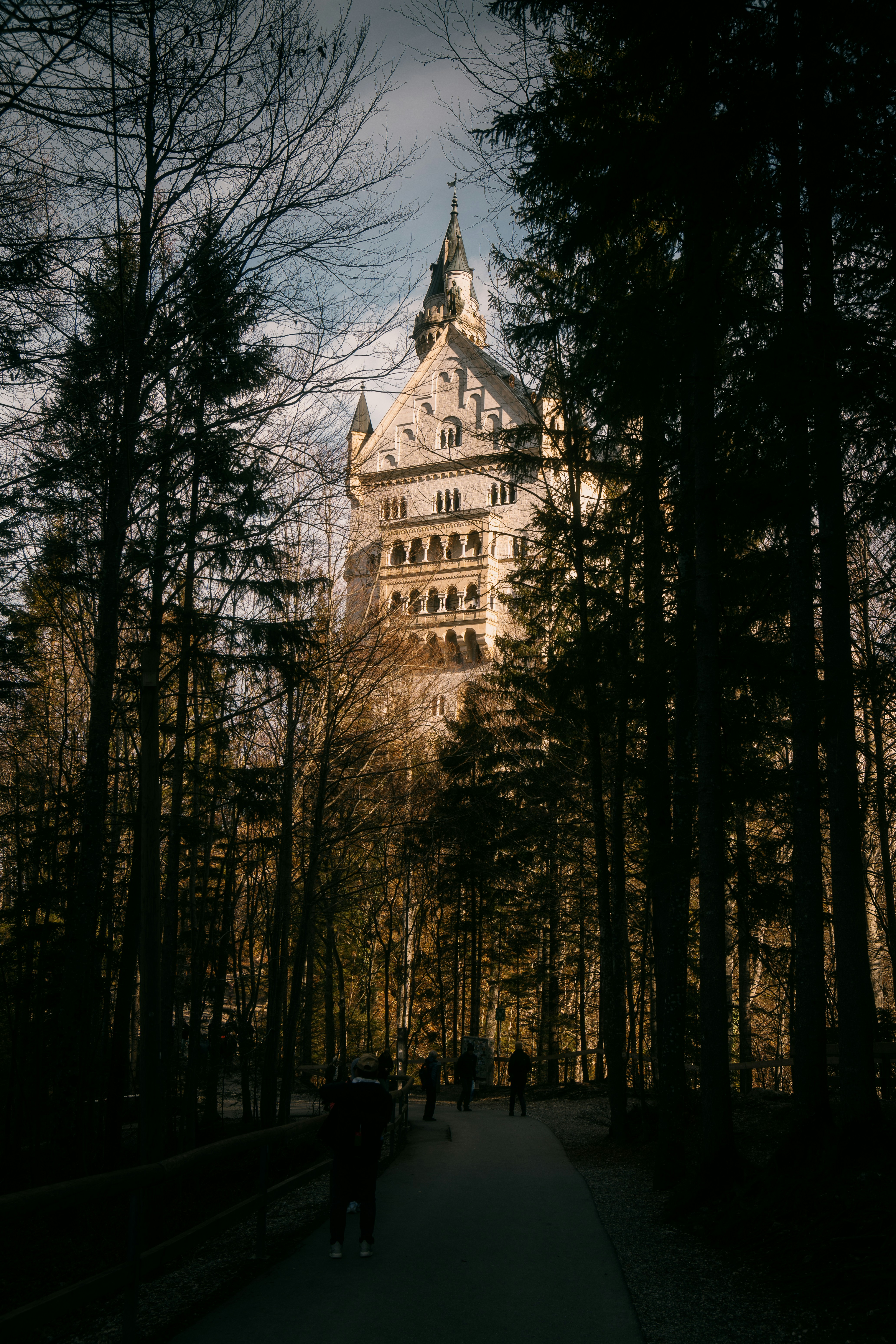 A tall building sitting in the middle of a forest
