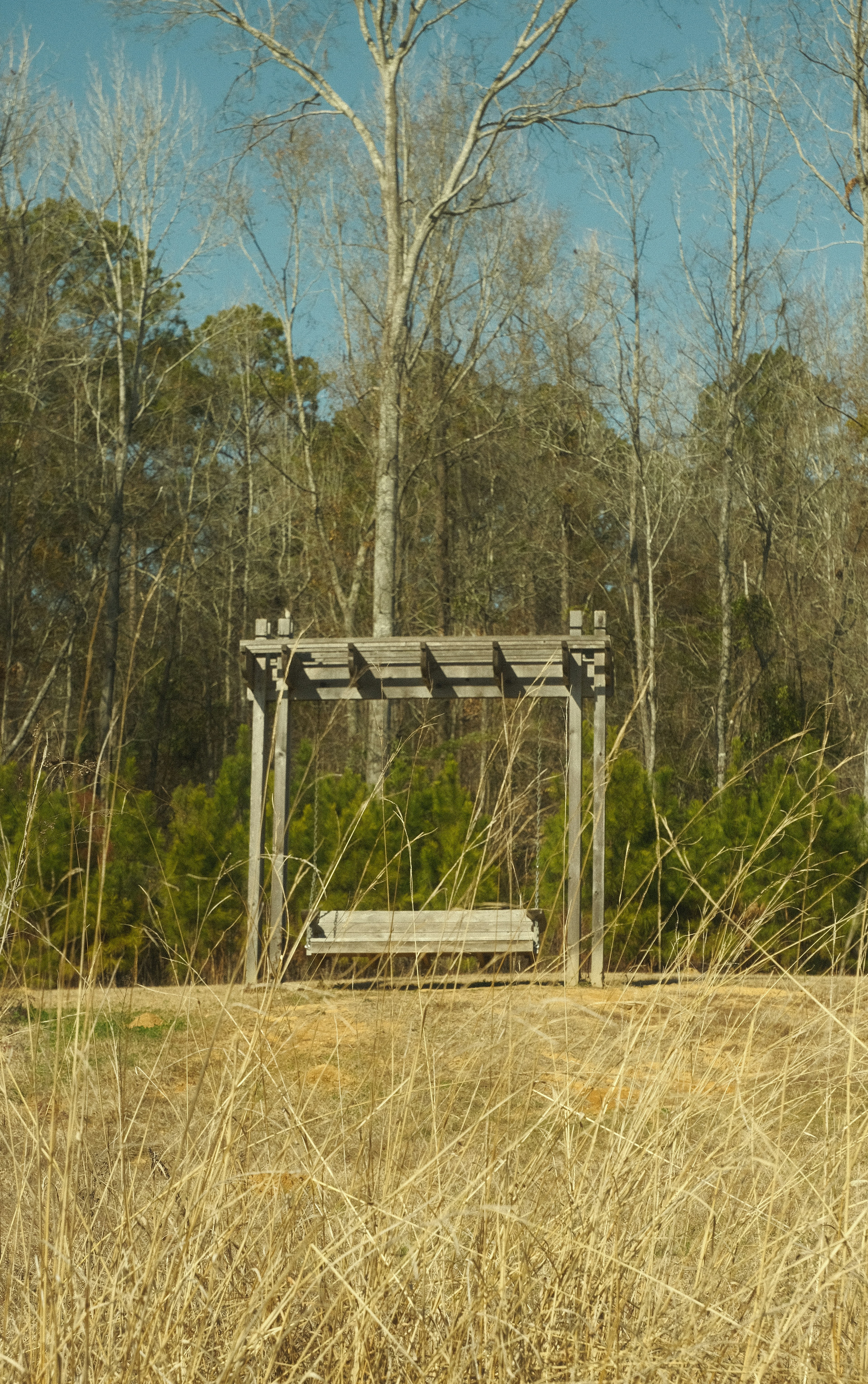 Solitary Wooden Swing in a Sunlit Clearing Among Bare Trees