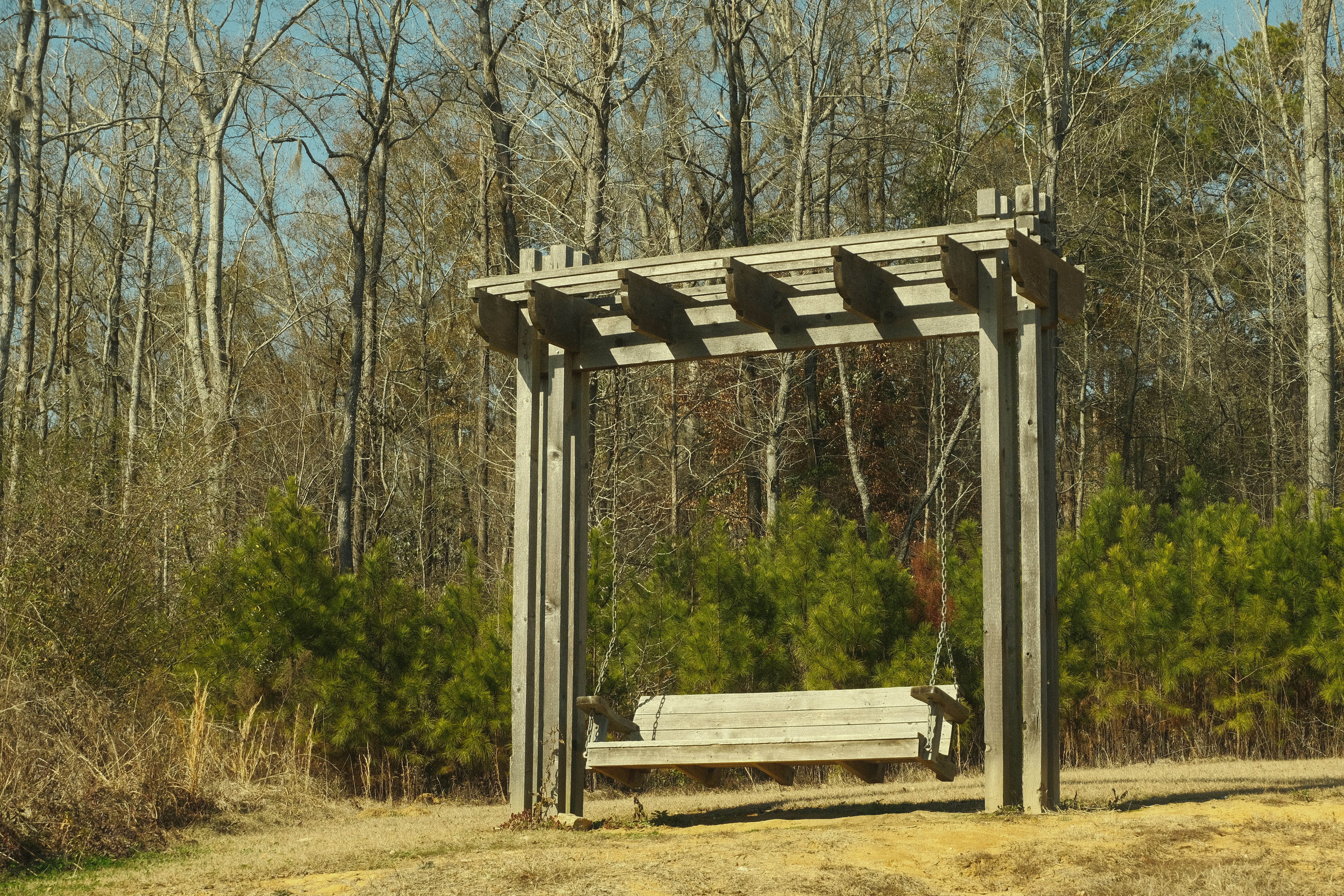 Rustic Swing Sanctuary in Winter's Embrace