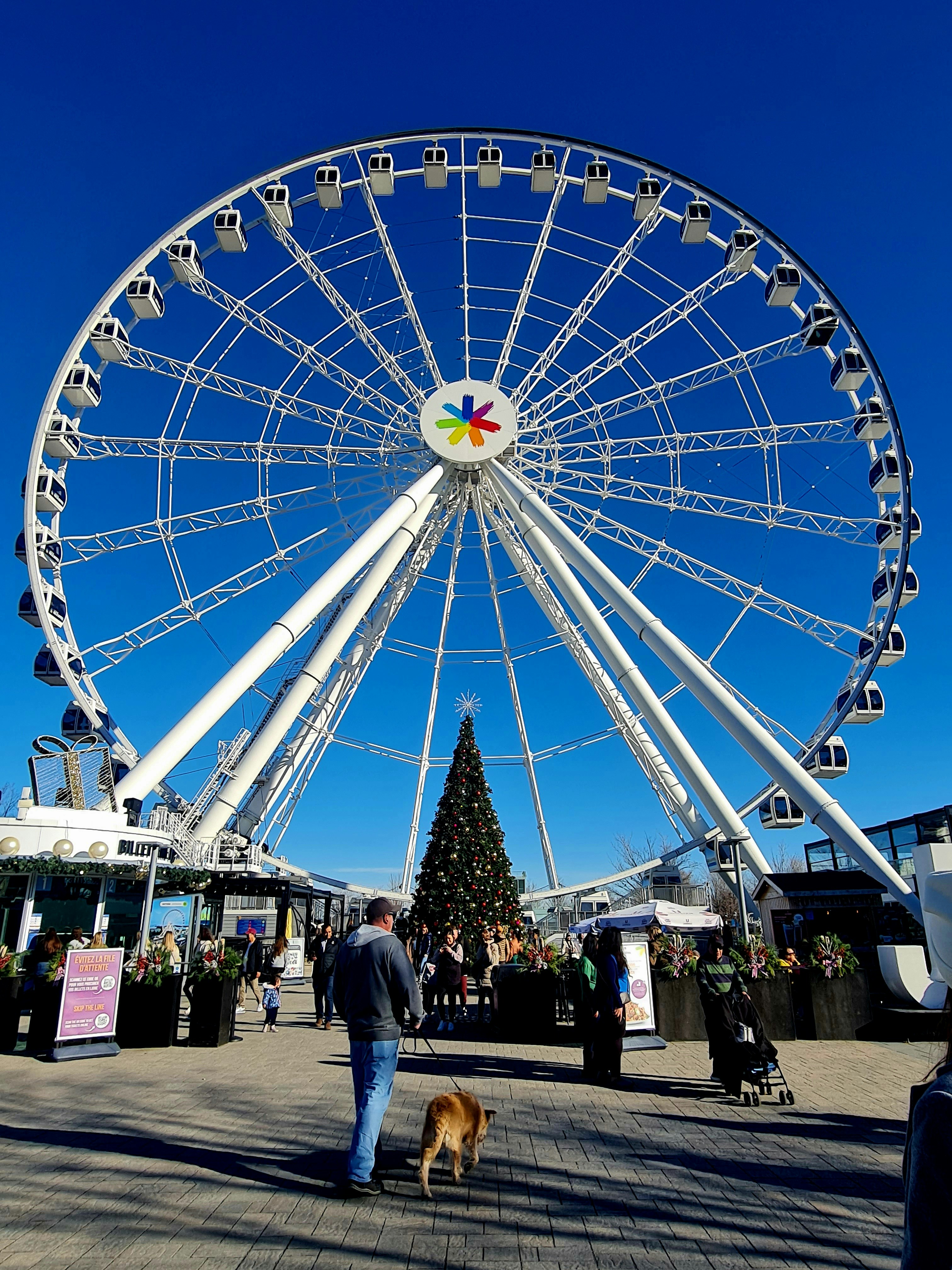 Ferris wheel towering over a festive plaza with a prominent Christmas tree and people strolling beneath a clear blue sky.