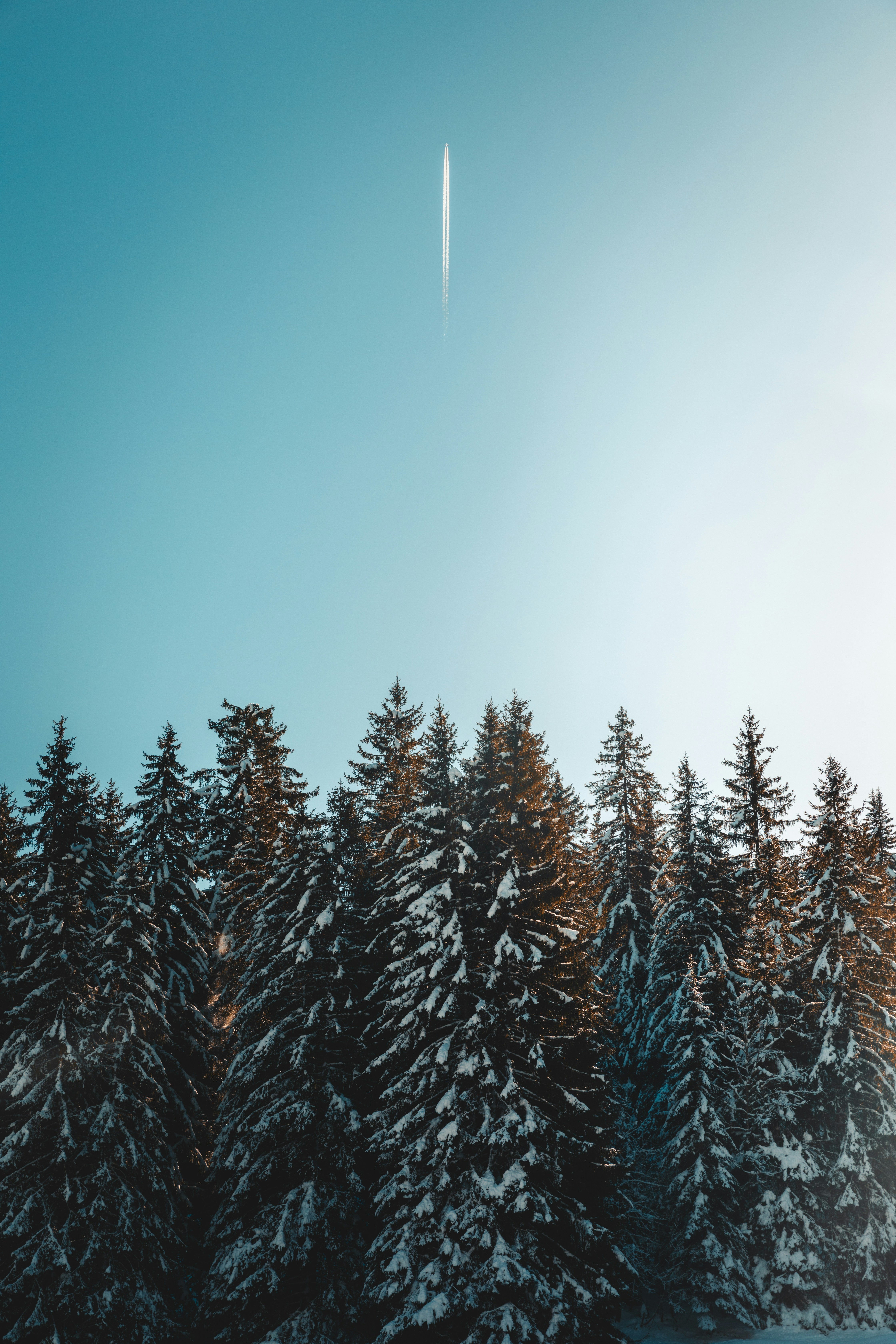 Snow-laden evergreen trees rise against a serene blue sky, with a faint contrail tracing the horizon above.