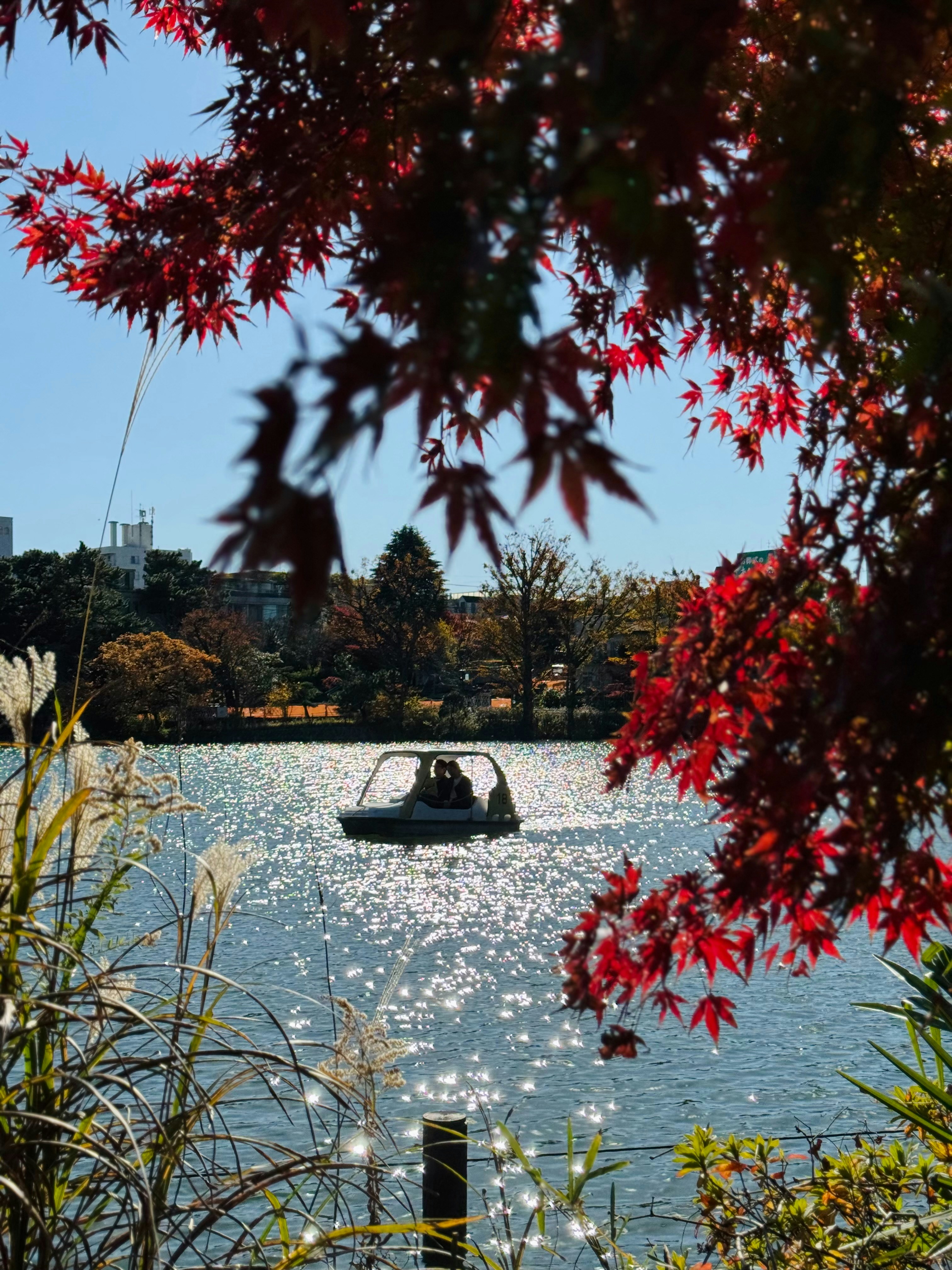 Photo by Veronika Bondarenko with Apple iPhone 15 Pro Max