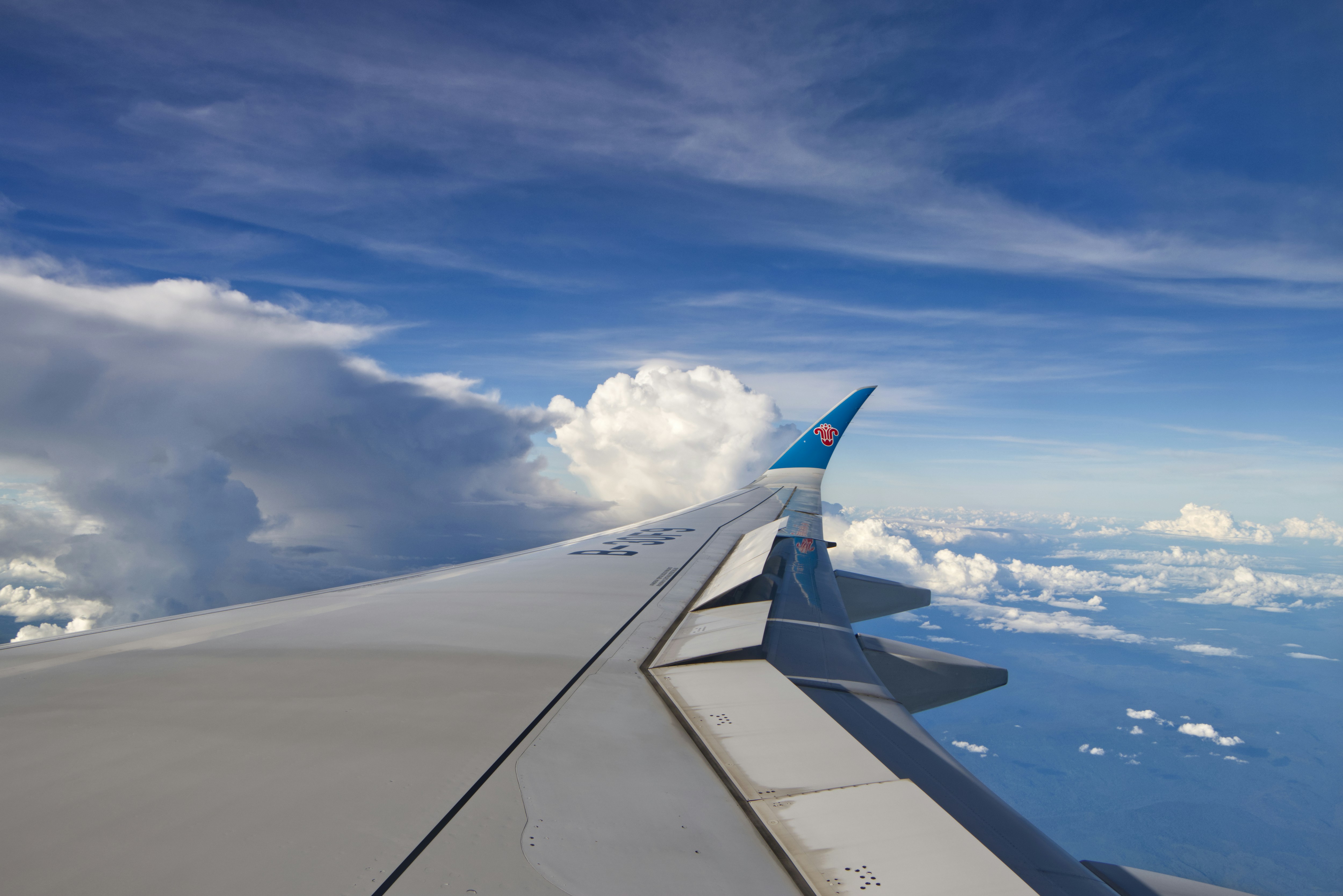 Blue-Tipped Wingtip Slicing Through Cerulean Skies