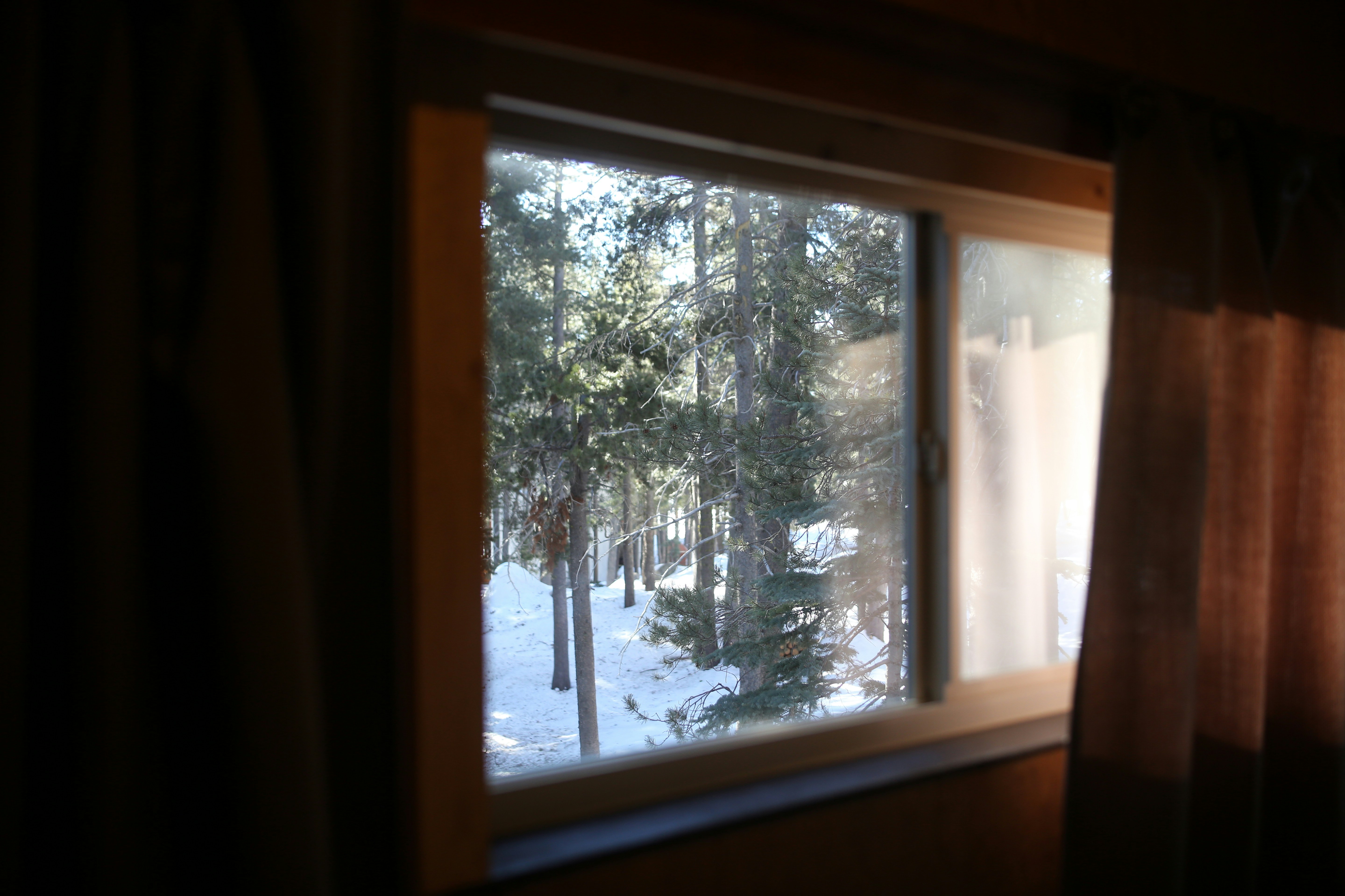 Through the Window: Quiet Winter Pines Framed by a Cabin