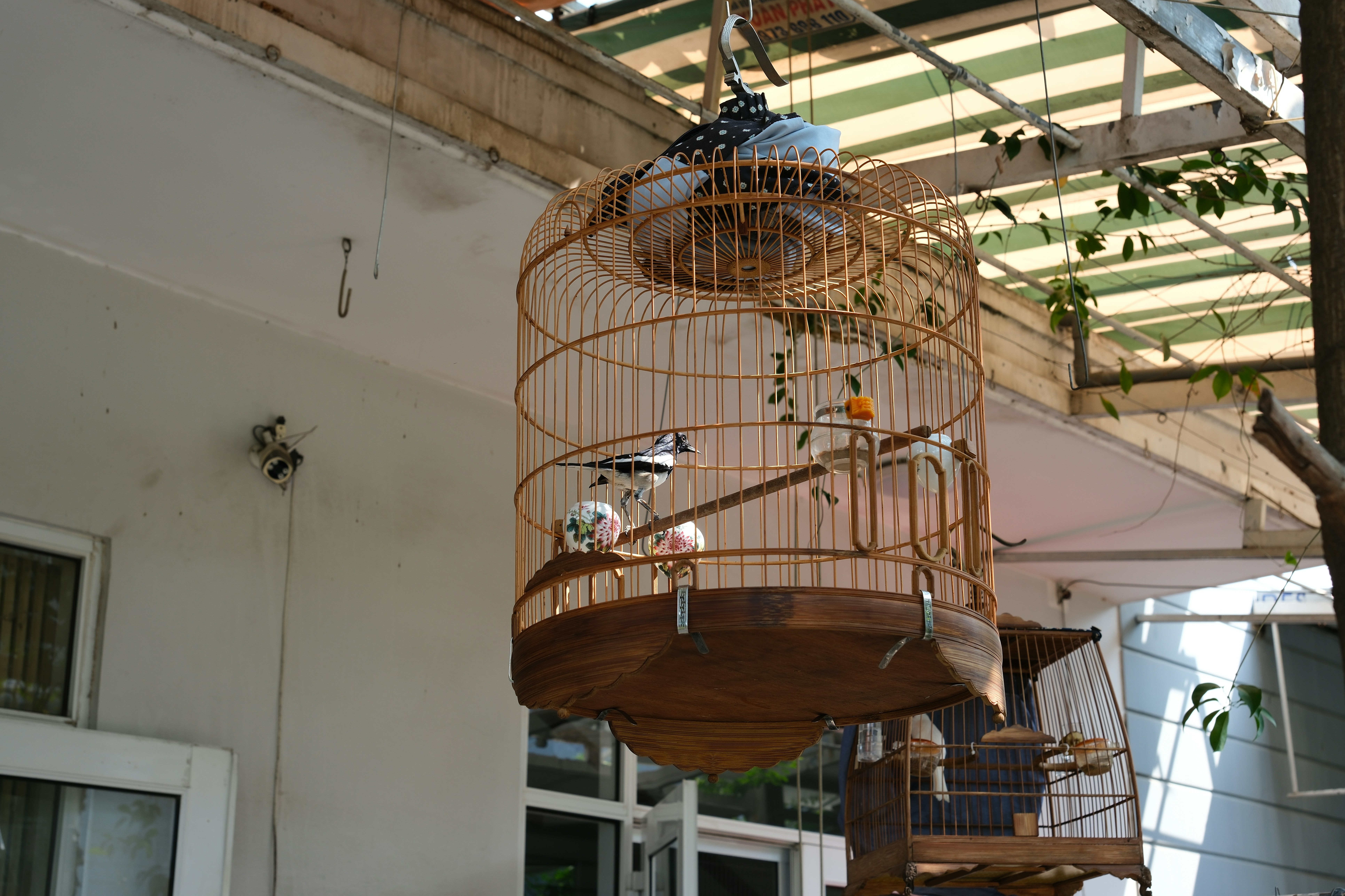 A bird cage hanging from the ceiling of a house photo – Free Cage Image ...