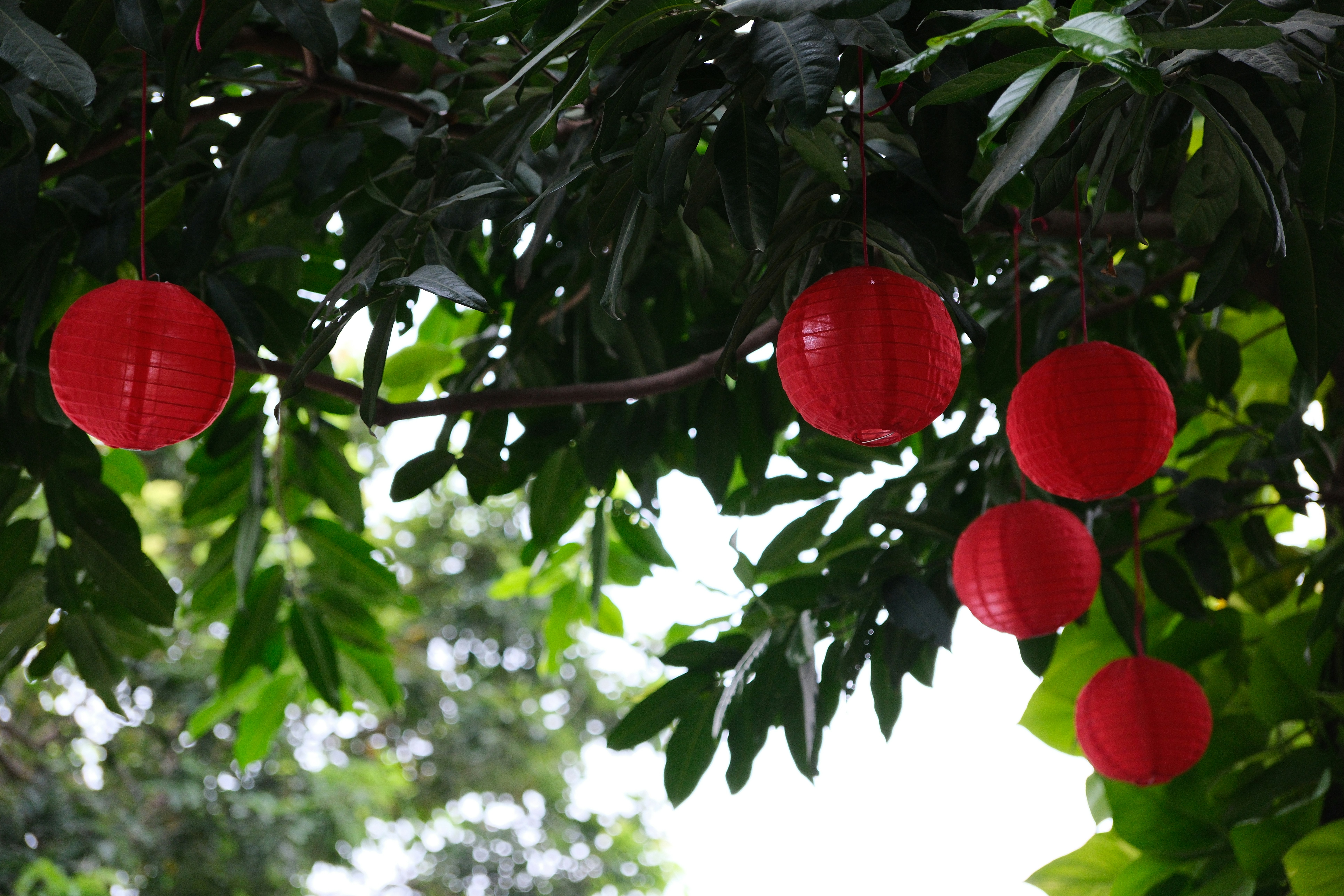 Photo by Duc Van with Fujifilm X-T5