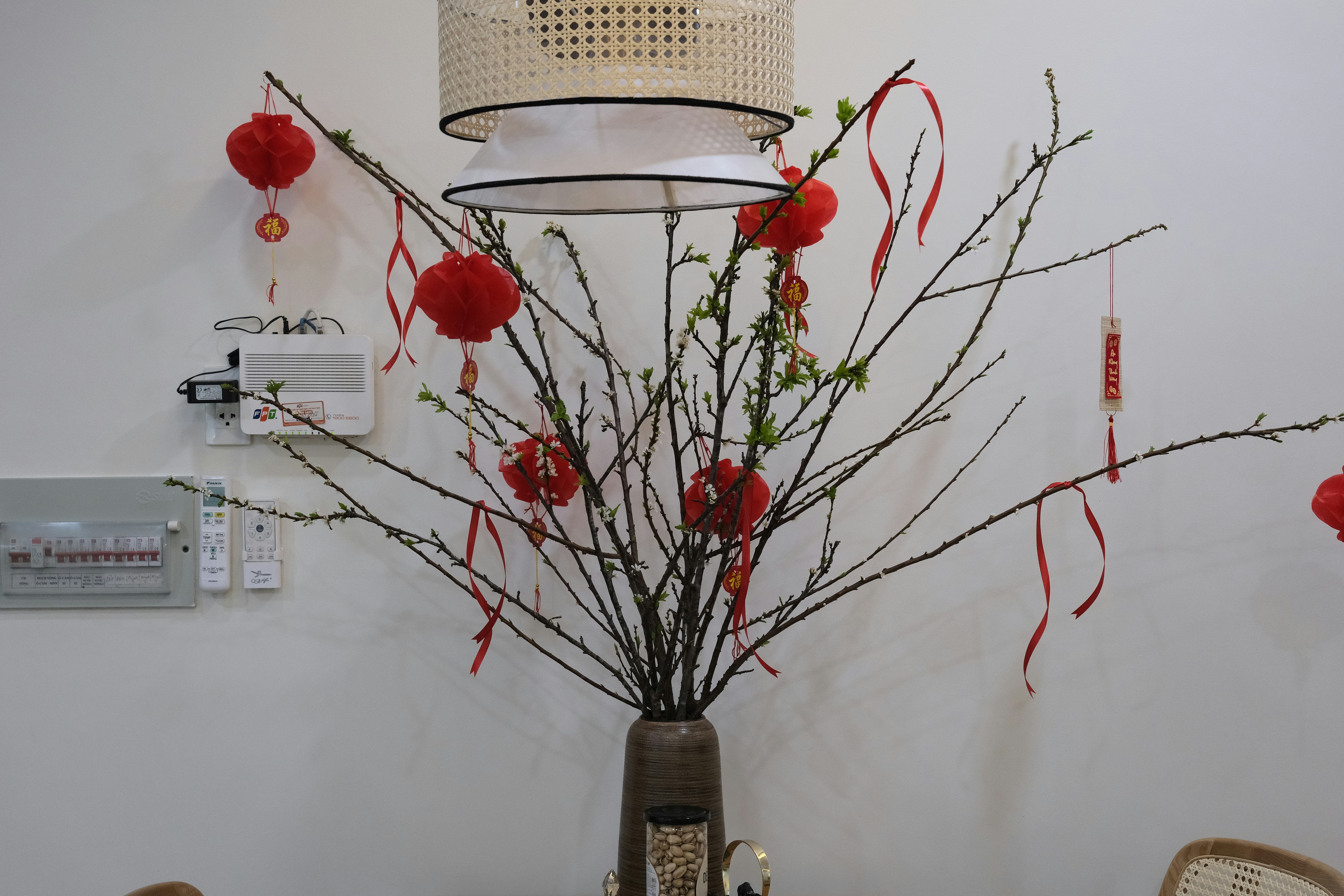 Crimson Ornaments on Bare Branches: An Indoor Still-Life Study