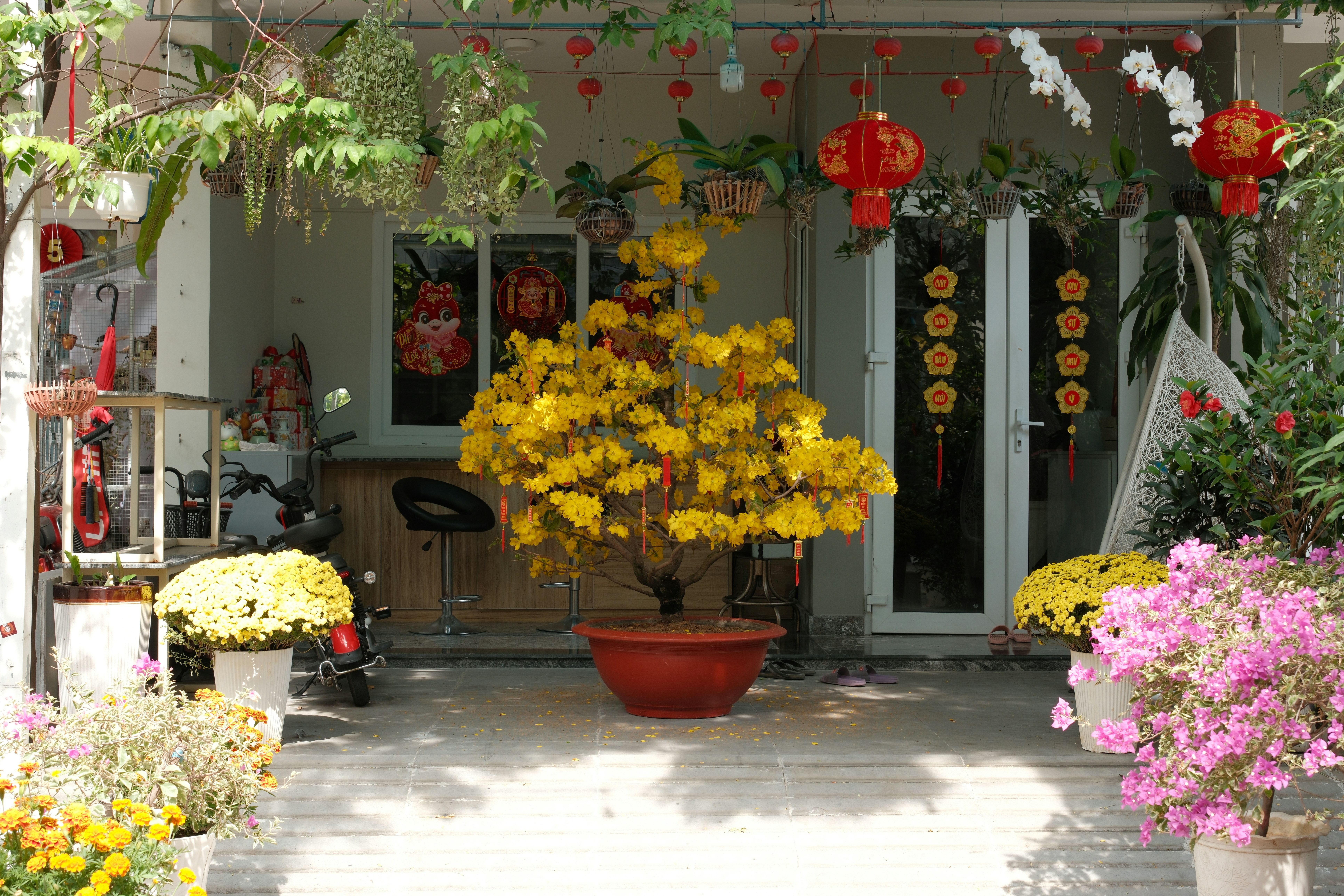 Central Golden Bloom Anchors a Festive Entrance