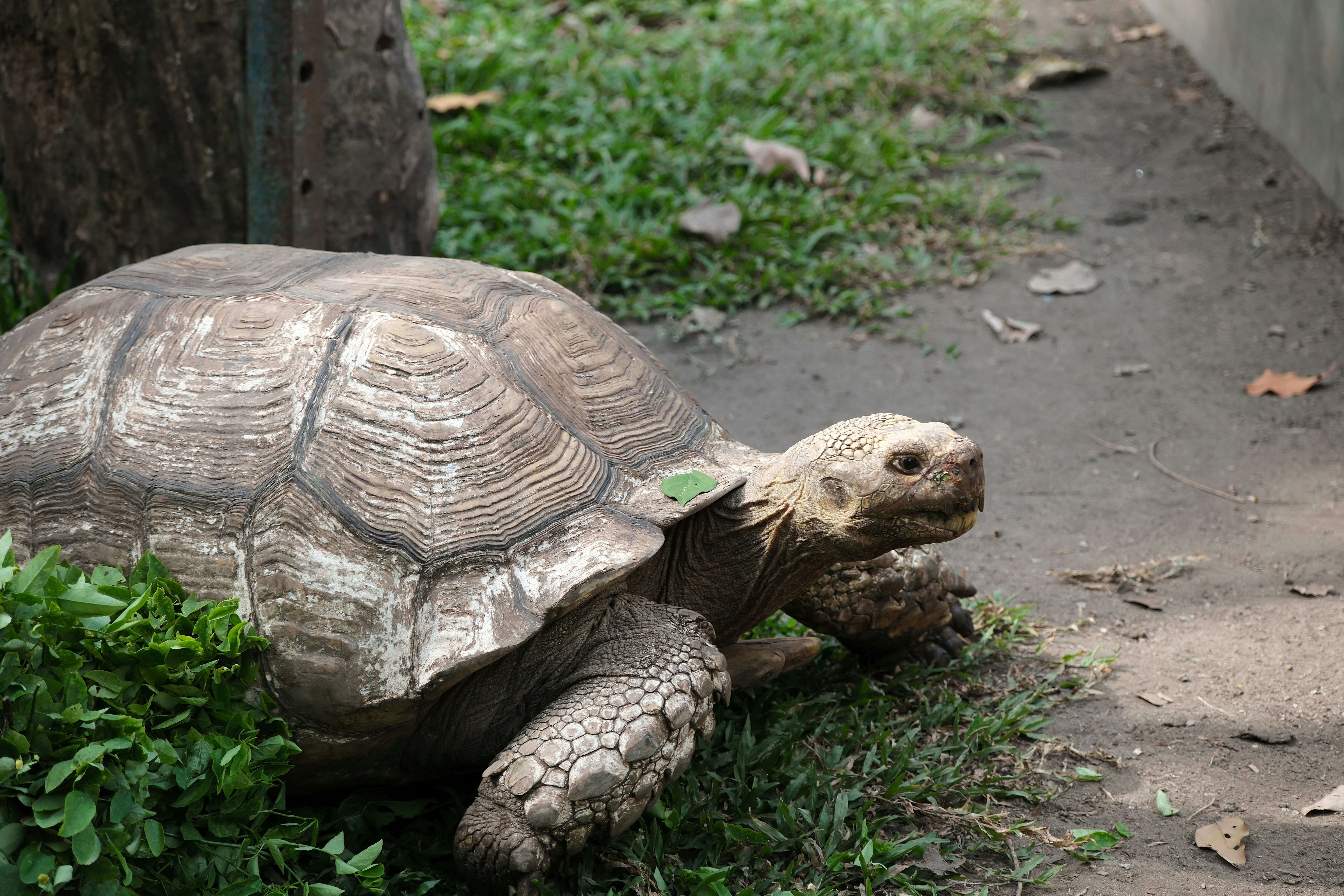 Photo by Duc Van with Fujifilm X-T5