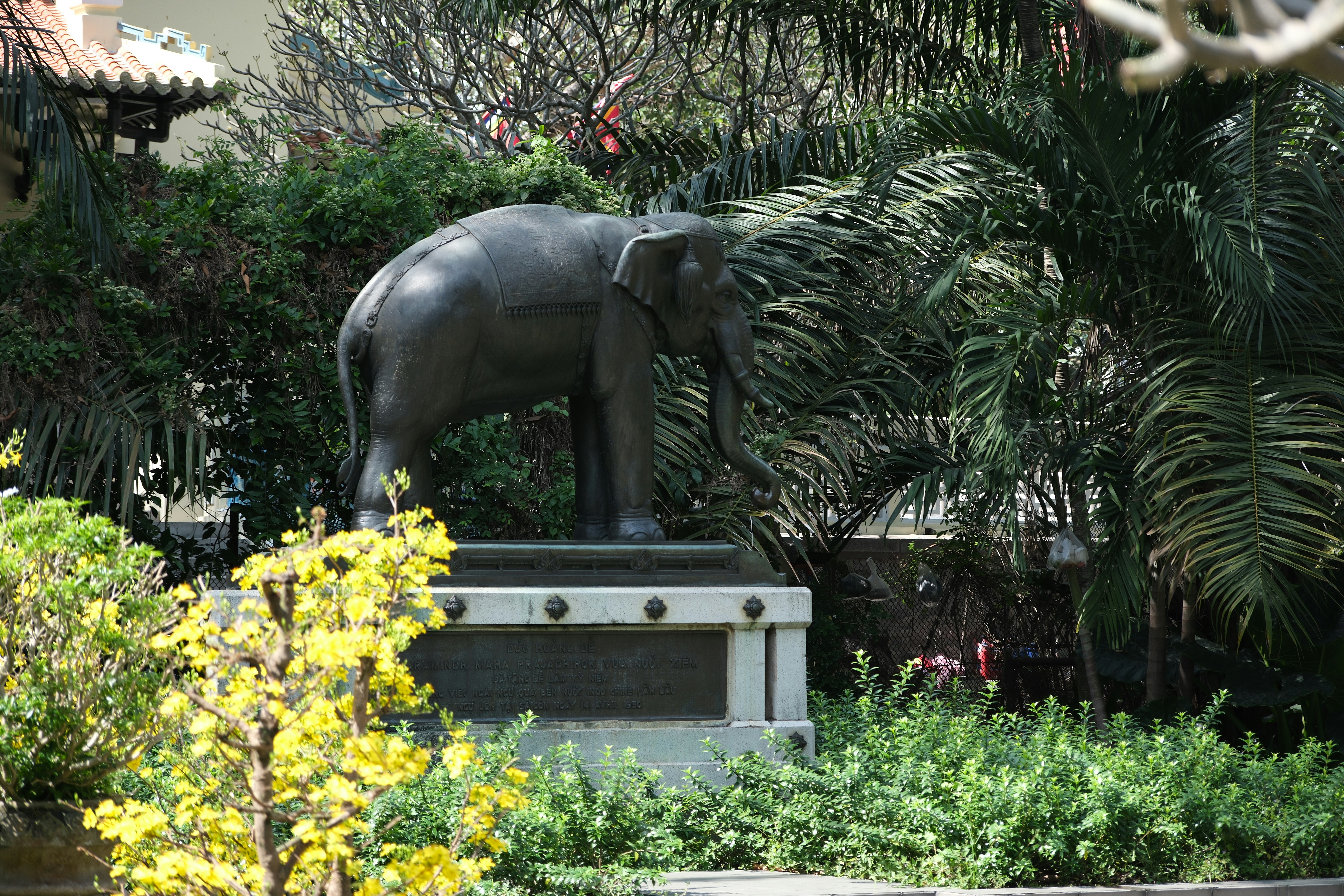 Photo by Duc Van with Fujifilm X-T5