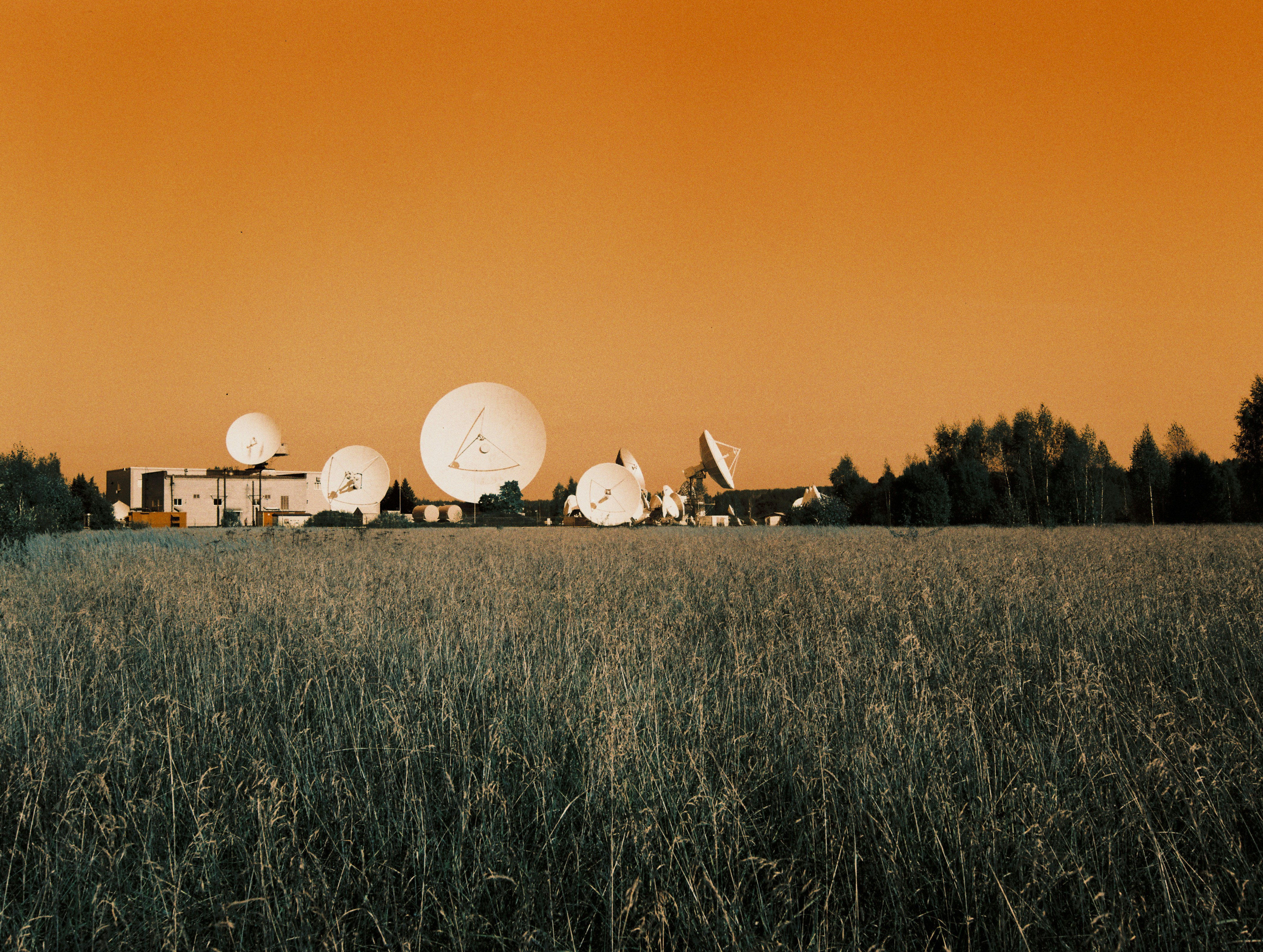 A field of tall grass with many satellite dishes in the distance photo ...