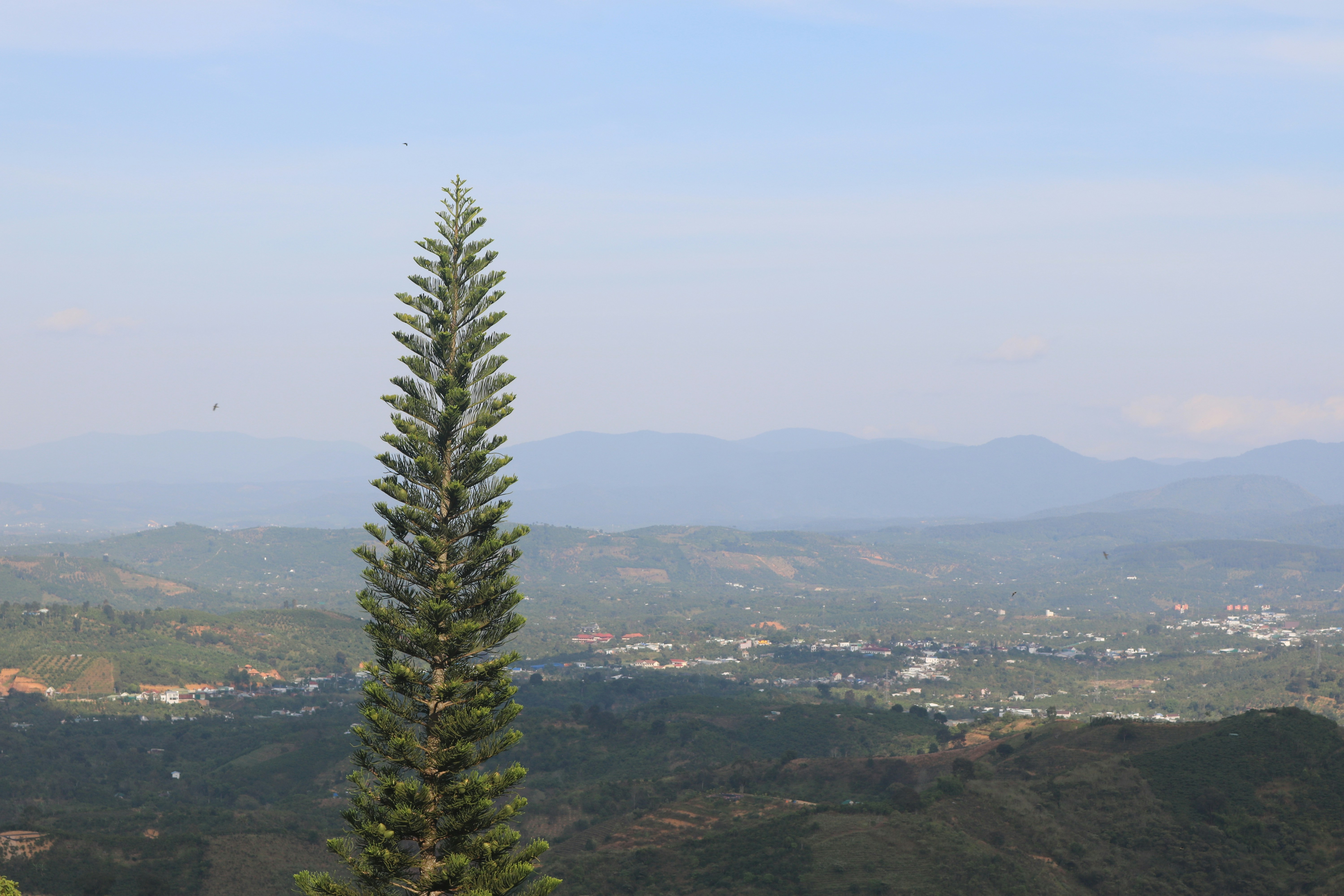 Photo by Anh Tuan Tran with Canon EOS 750D