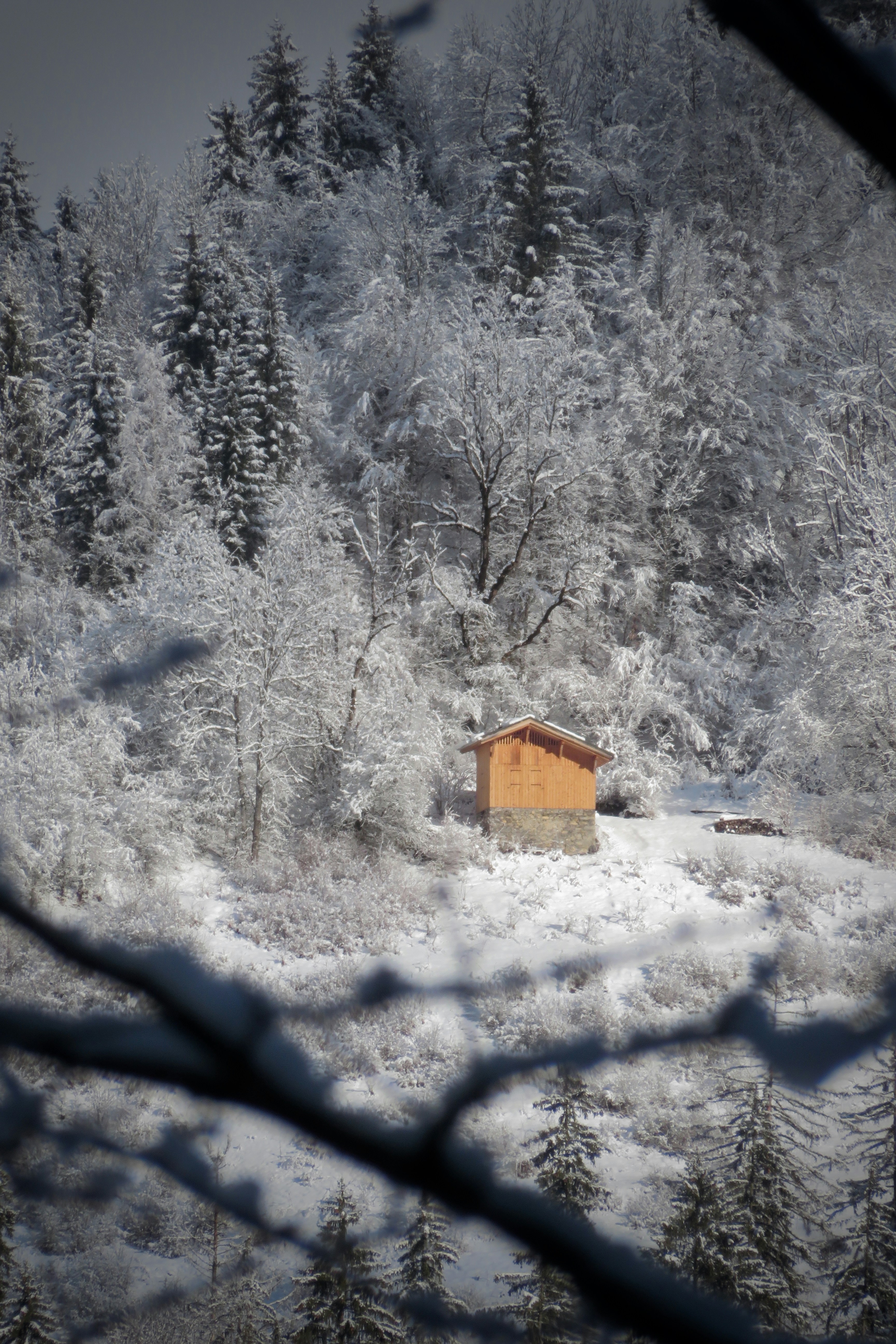 A solitary wooden cabin stands amidst a snow-covered forest, exuding tranquility.