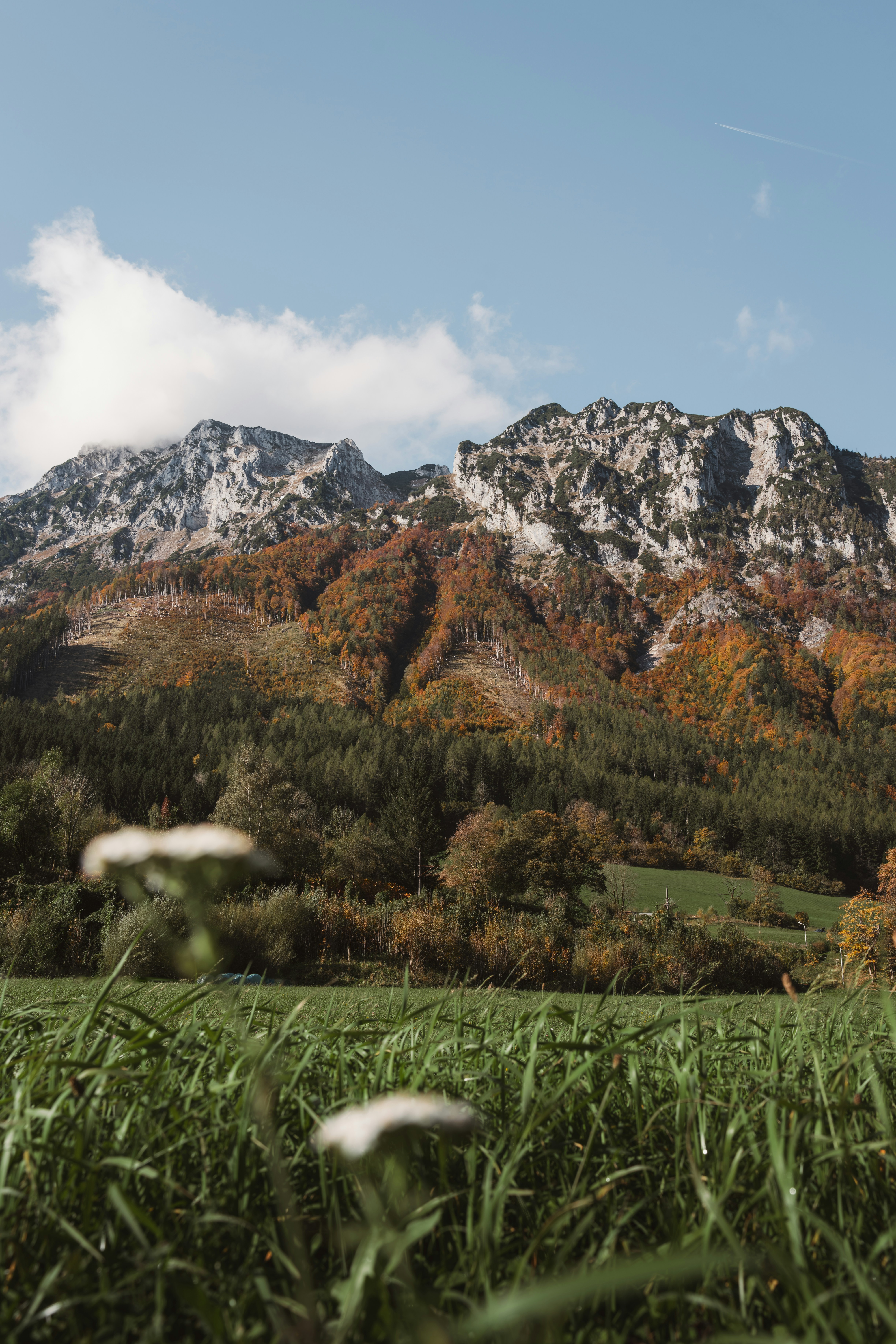 Autumnal Granite Ridge Framed by Painted Forest