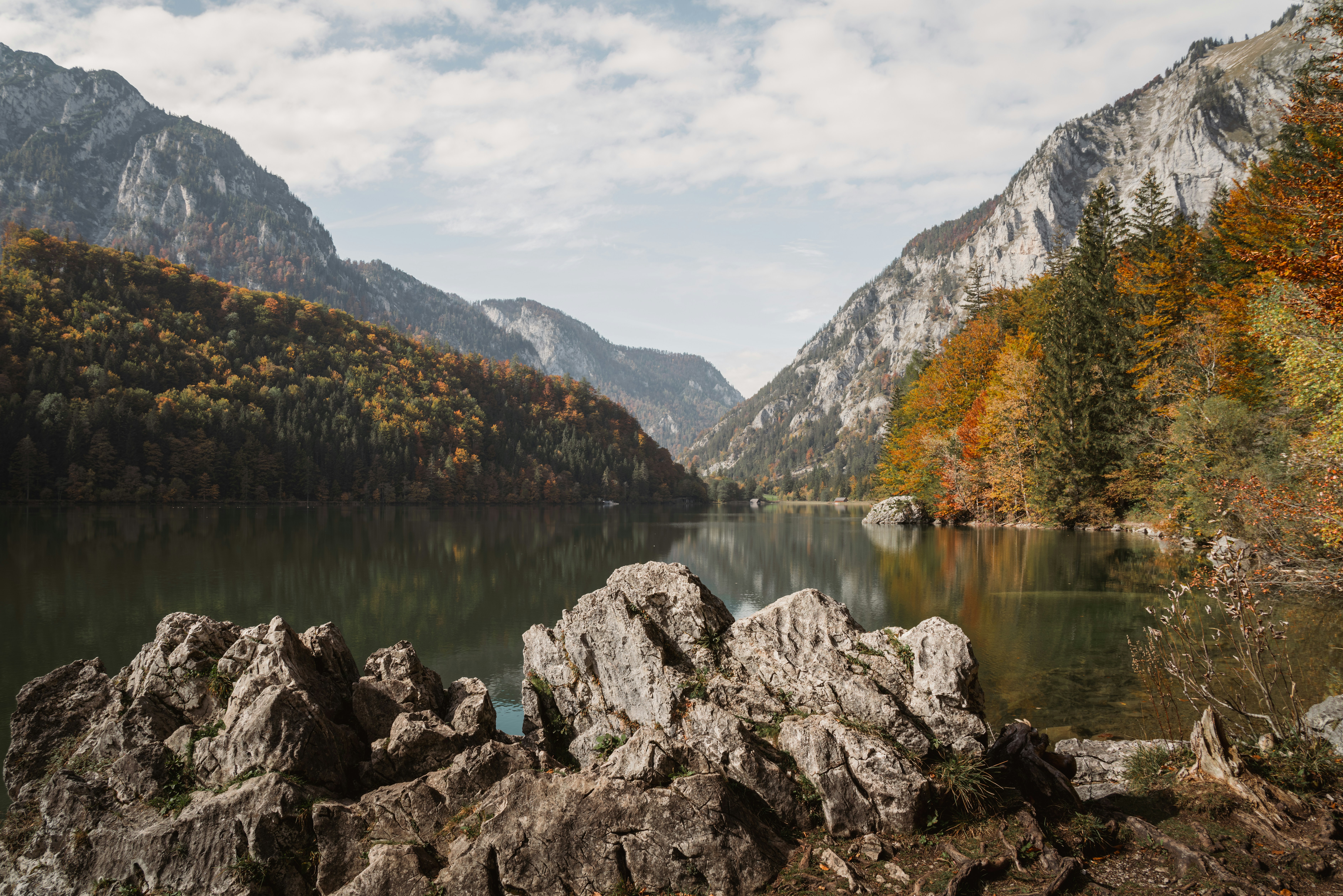 Serene Symphony of Autumn and Stone