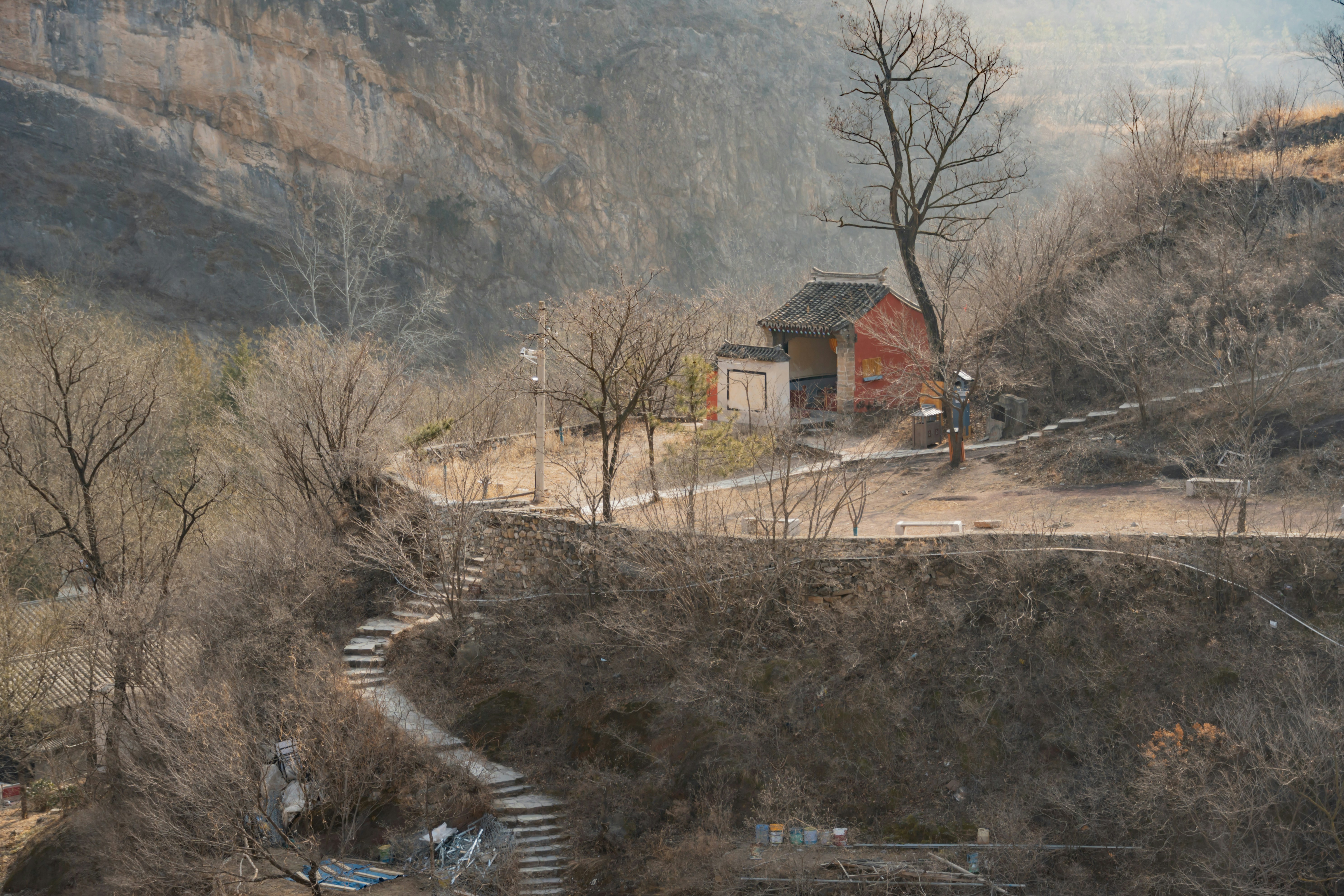 Rustic house nestled among barren trees on a quiet hillside path.