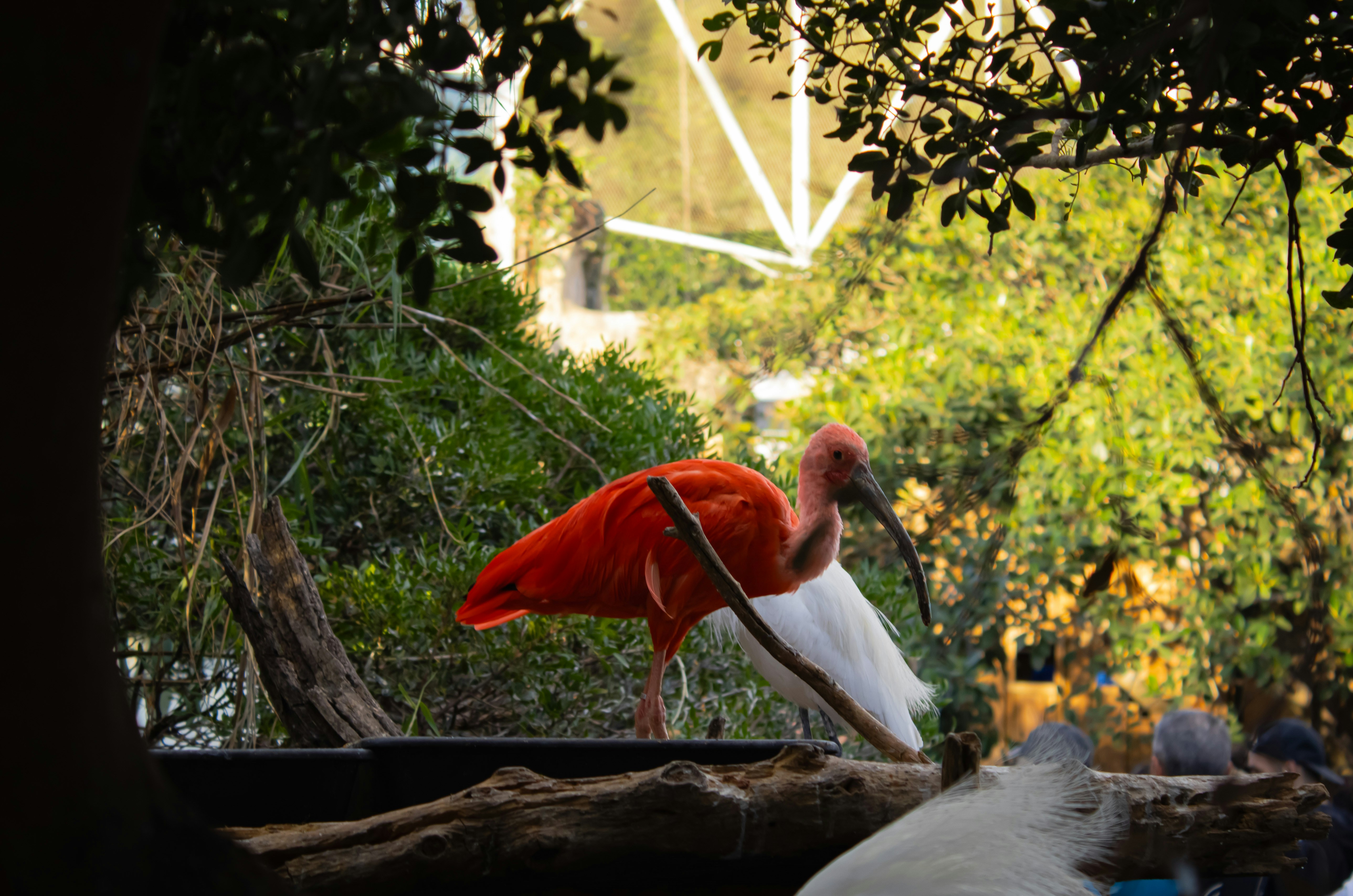 Photo by Sona Balayan with Canon EOS 250D