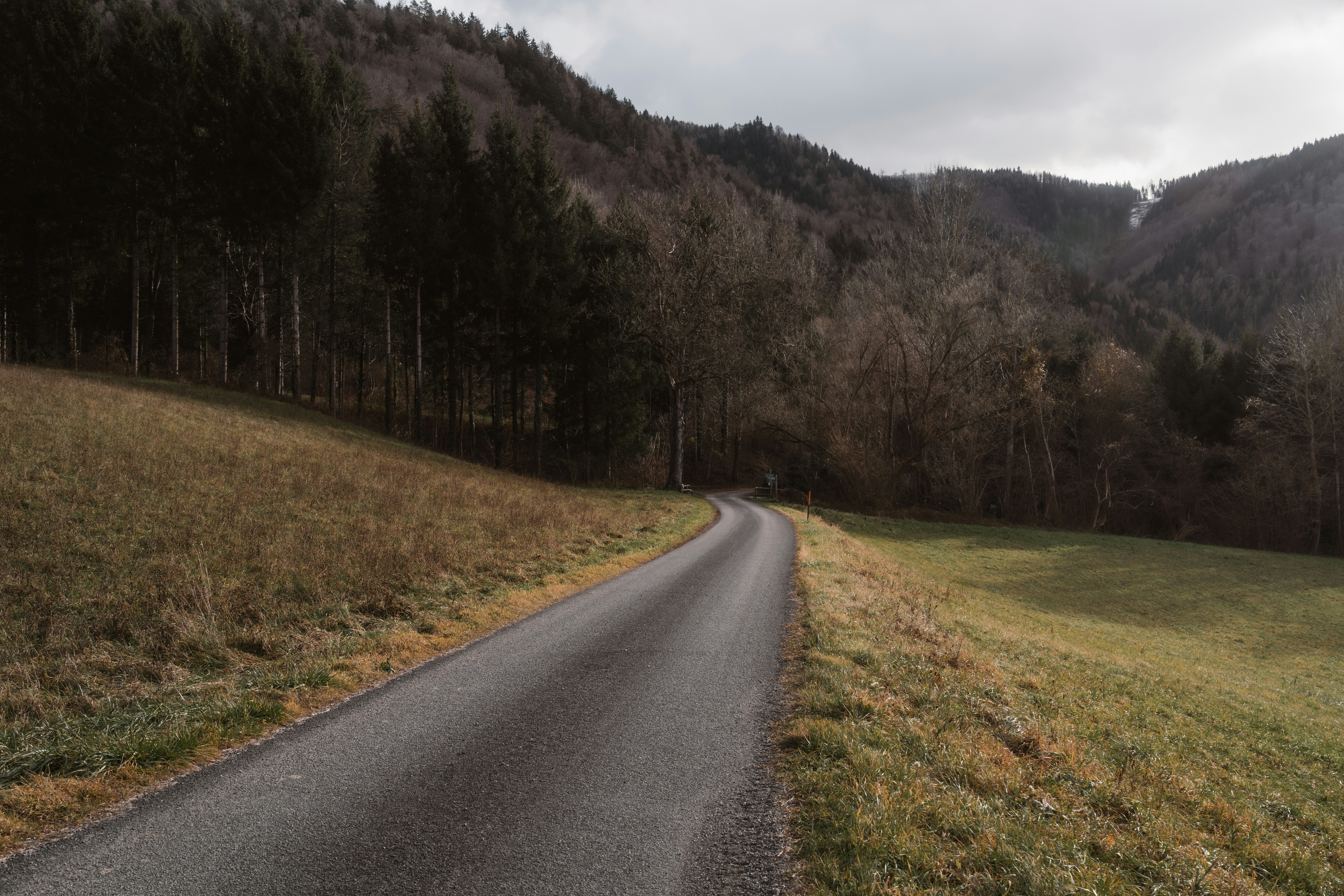 Winding road through grassy fields leading into a dense forest under an overcast sky.
