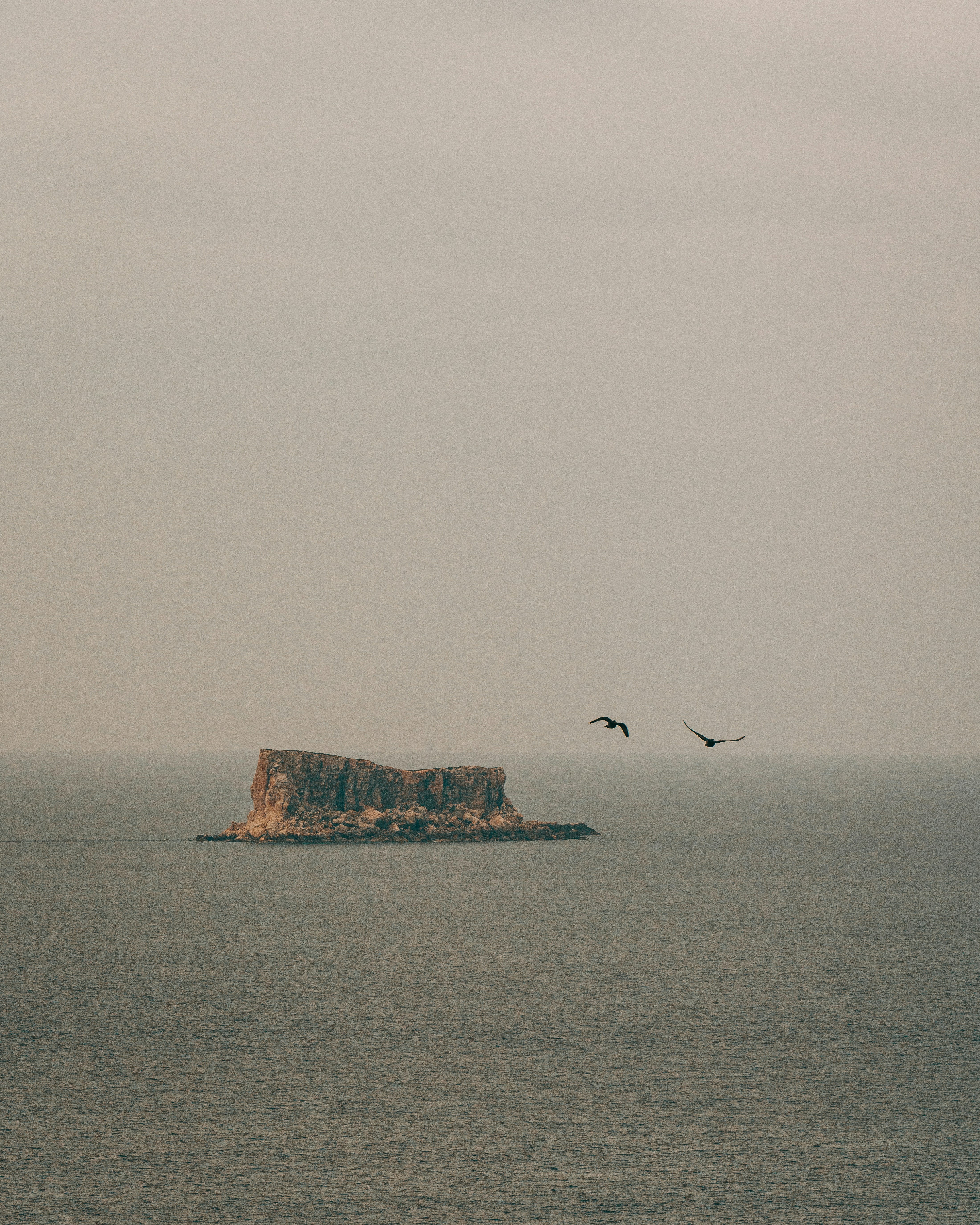 Isolated Sea Rock: A Quiet Sentinel Above the Tides