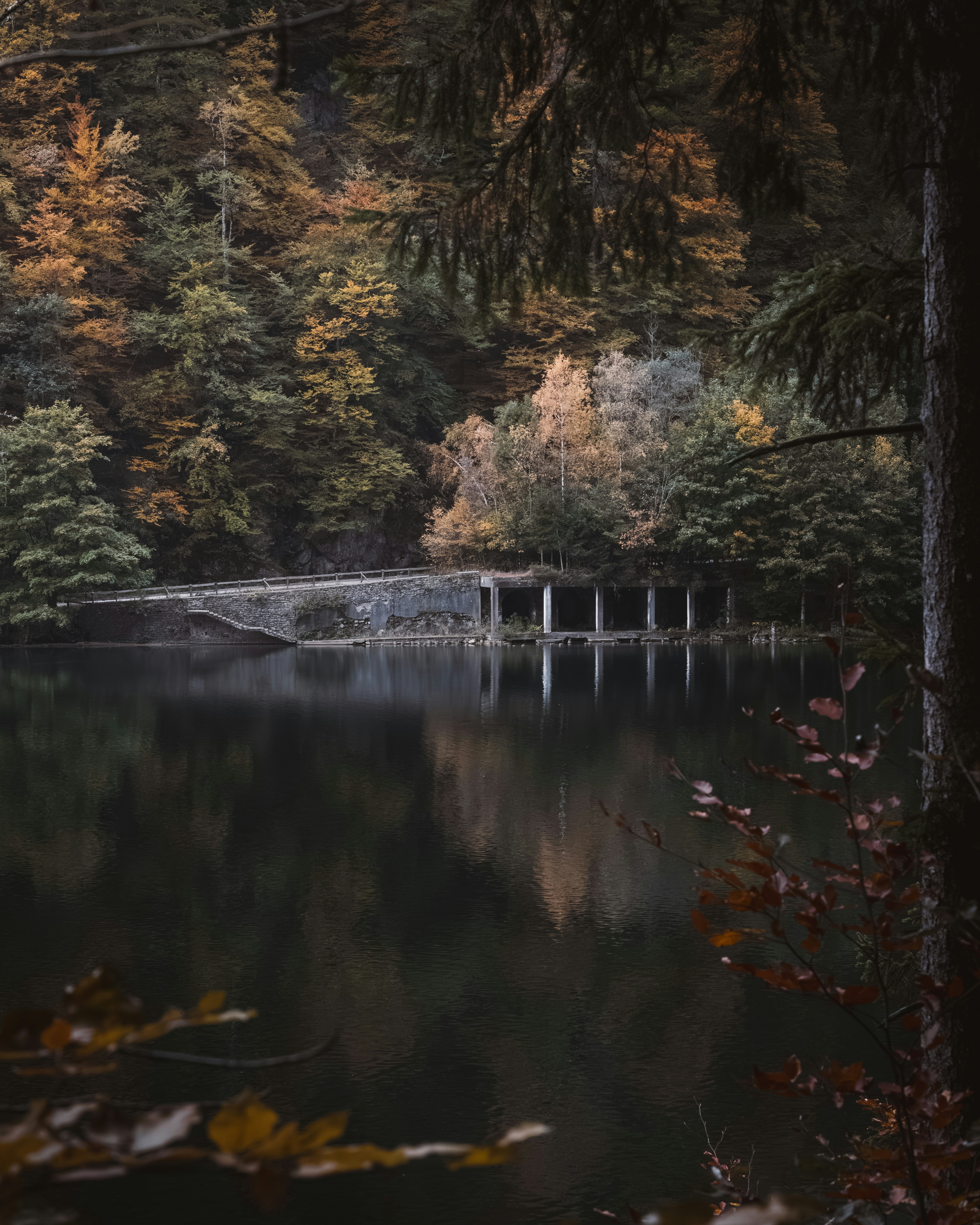 Calming Background Pictures | Download Free Images on Unsplash