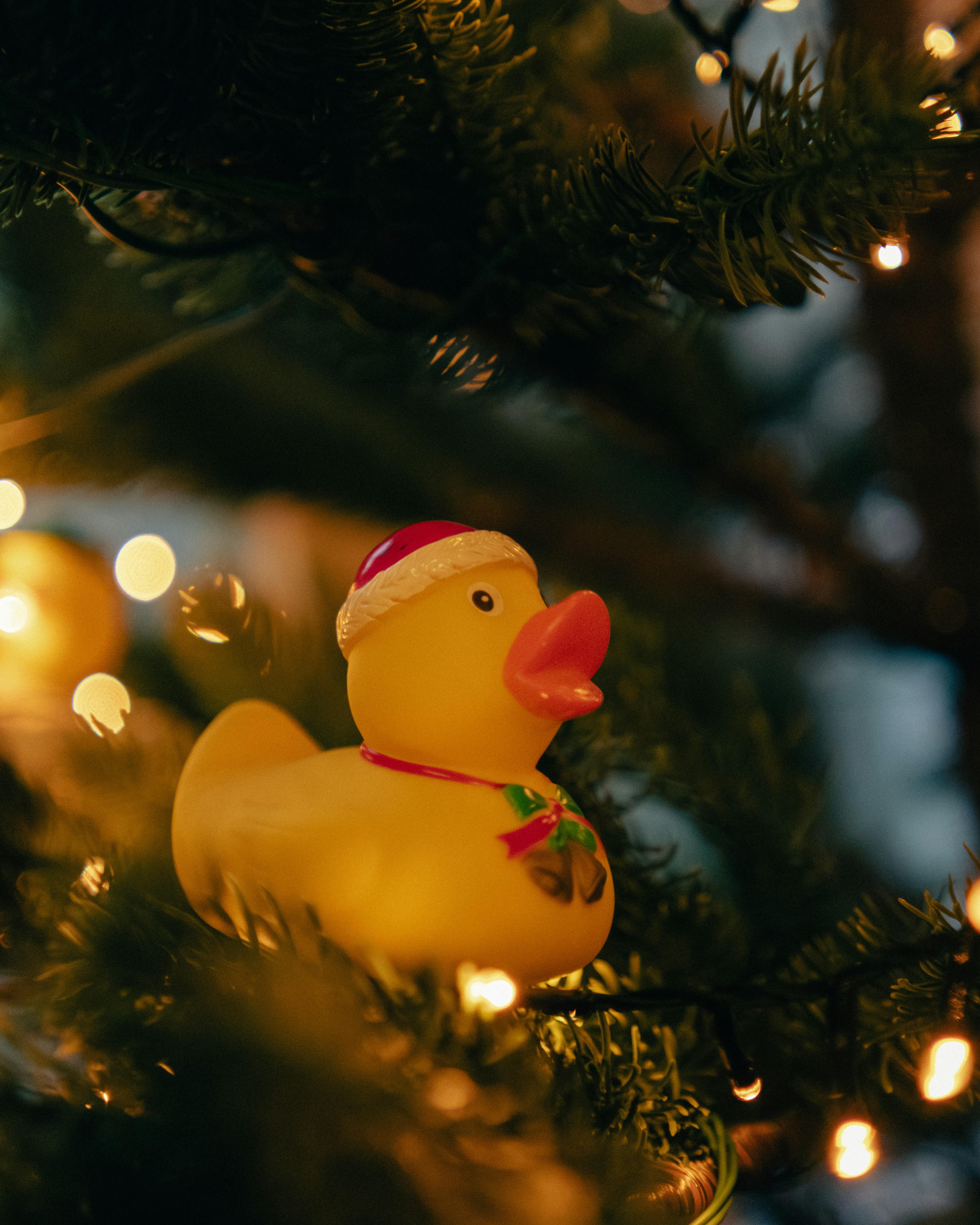 A rubber ducky ornament hanging from a christmas tree photo – Free ...