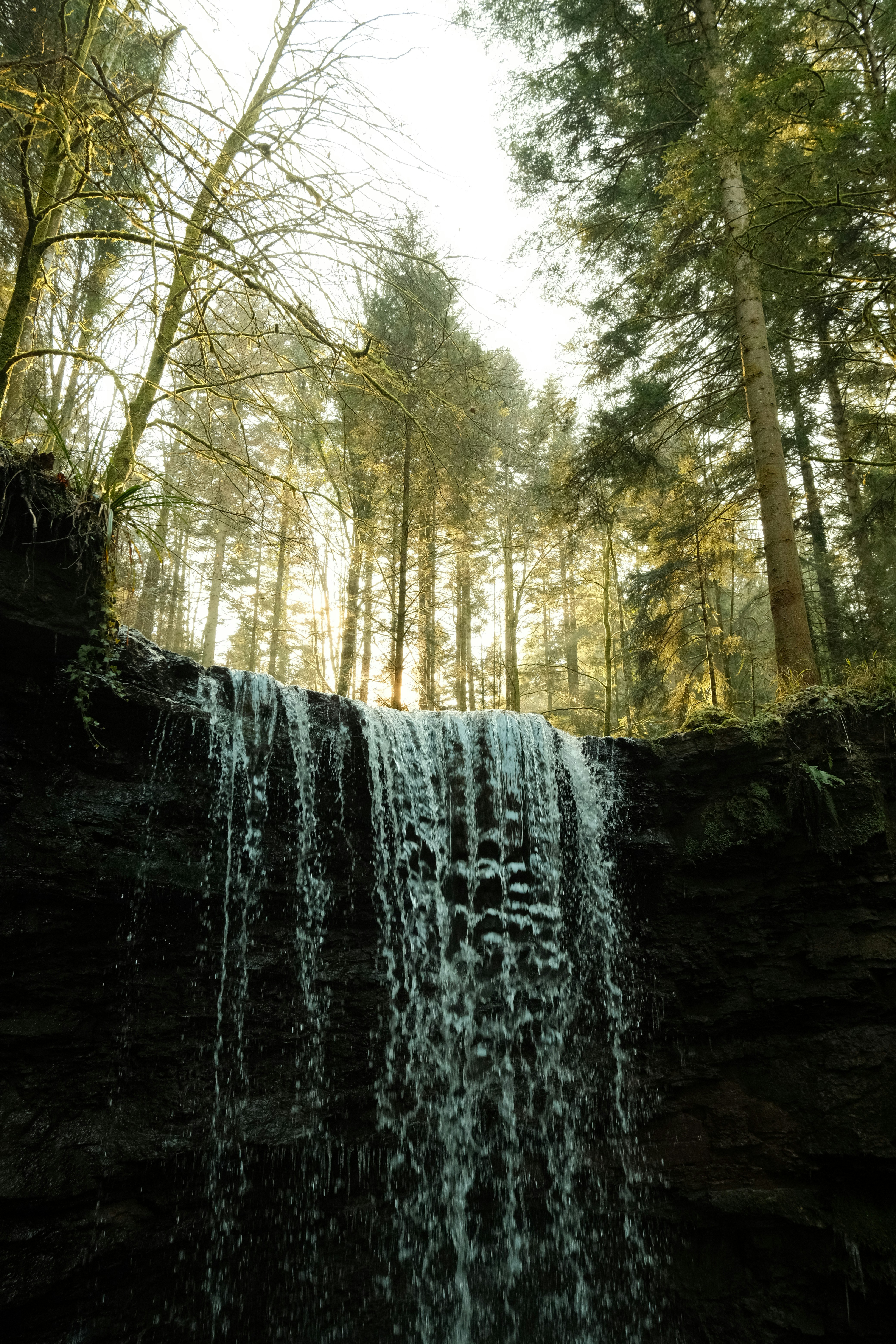 Cascading Light: Forest Waterfall in Morning Glow