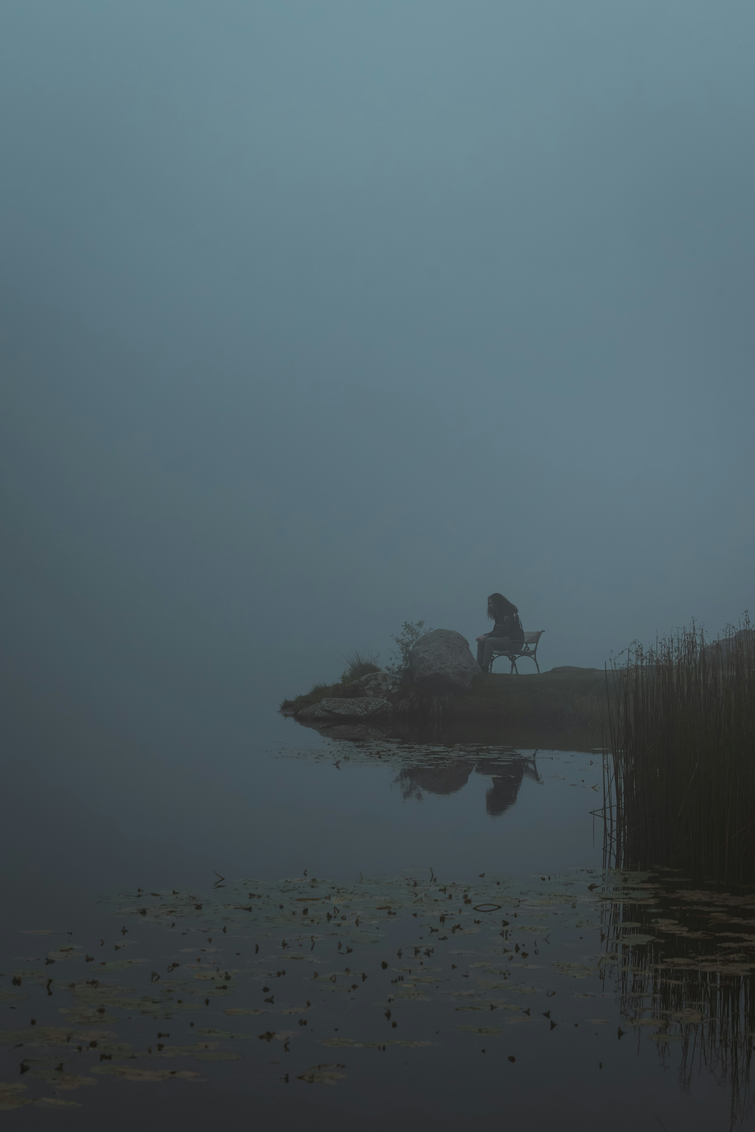 Silhouette on the Mist-Kissed Shore