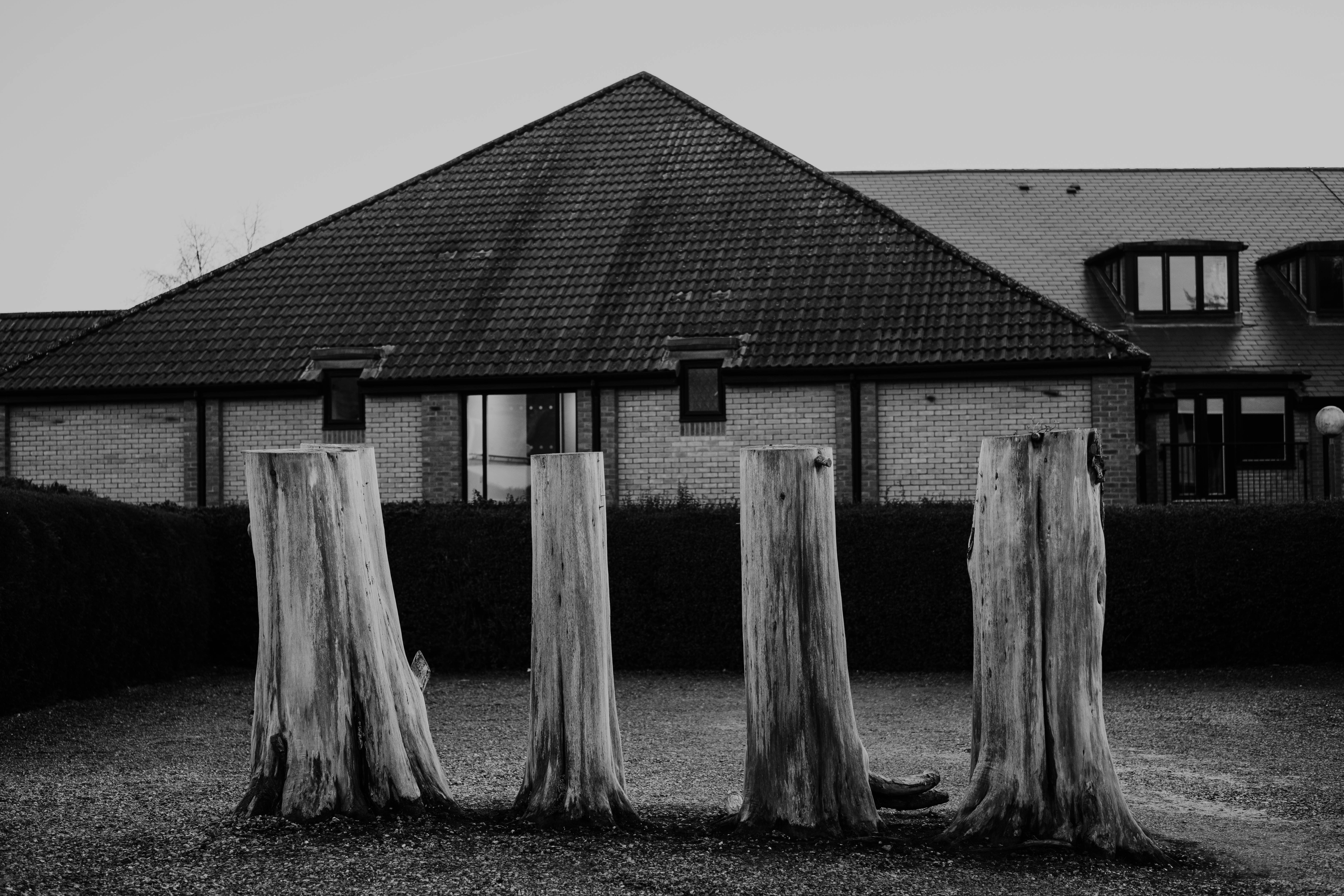 Five Weathered Stumps Stand Guard Before a Brick Campus Building