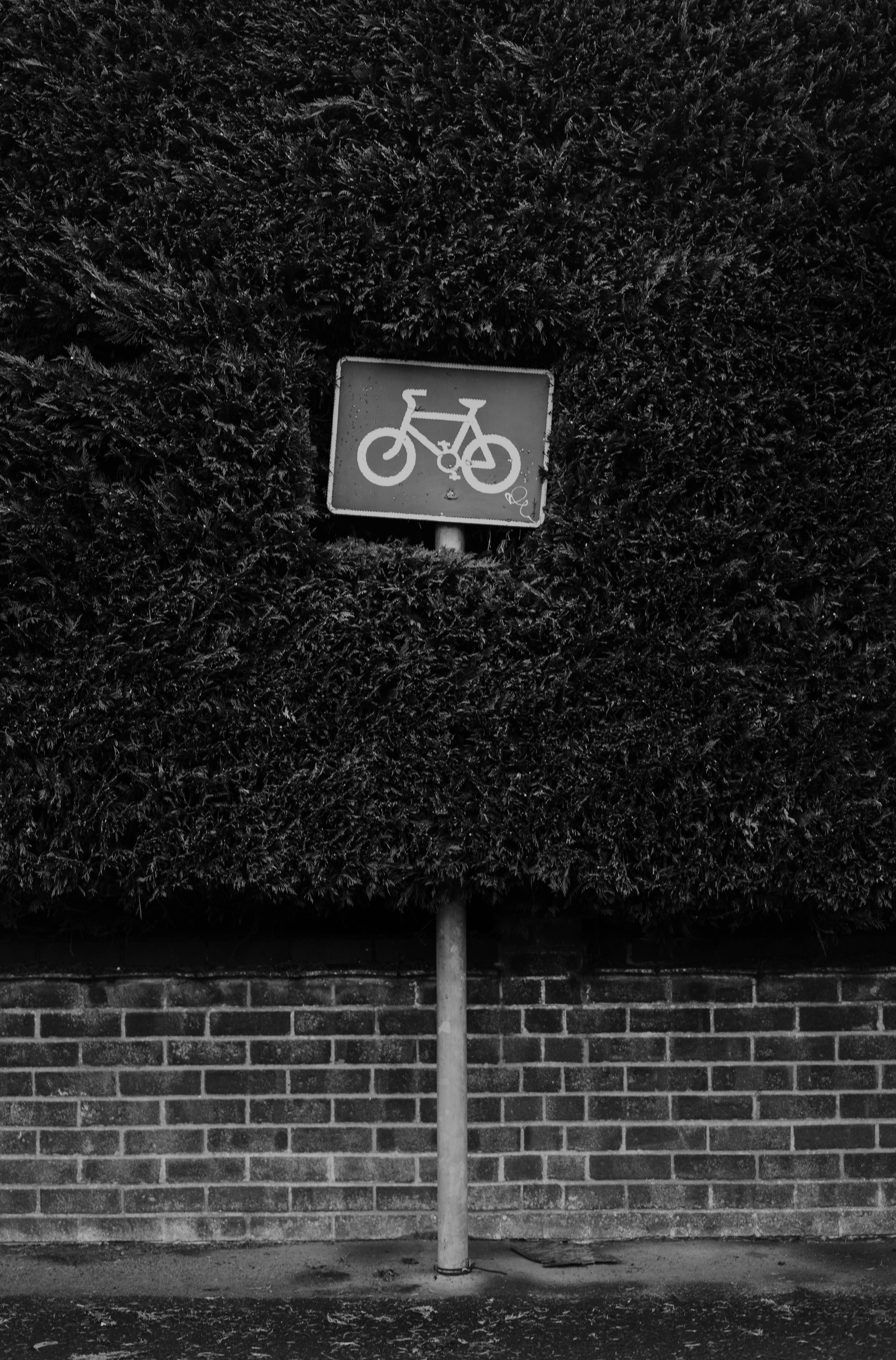 A bicycle sign on the side of a brick wall photo – Free Wall Image on ...
