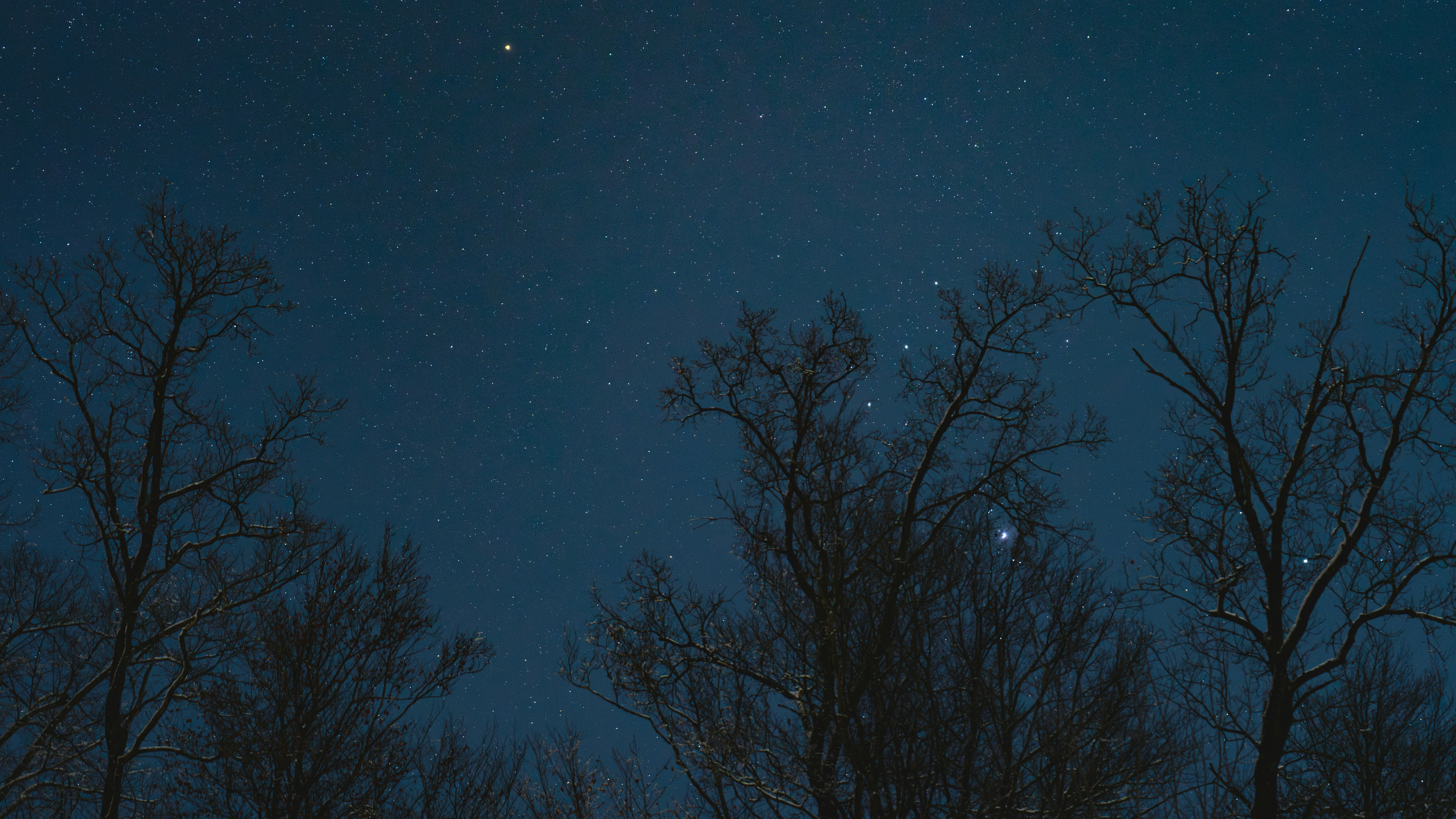 The night sky is full of stars and trees photo – Free Wallpaper Image ...