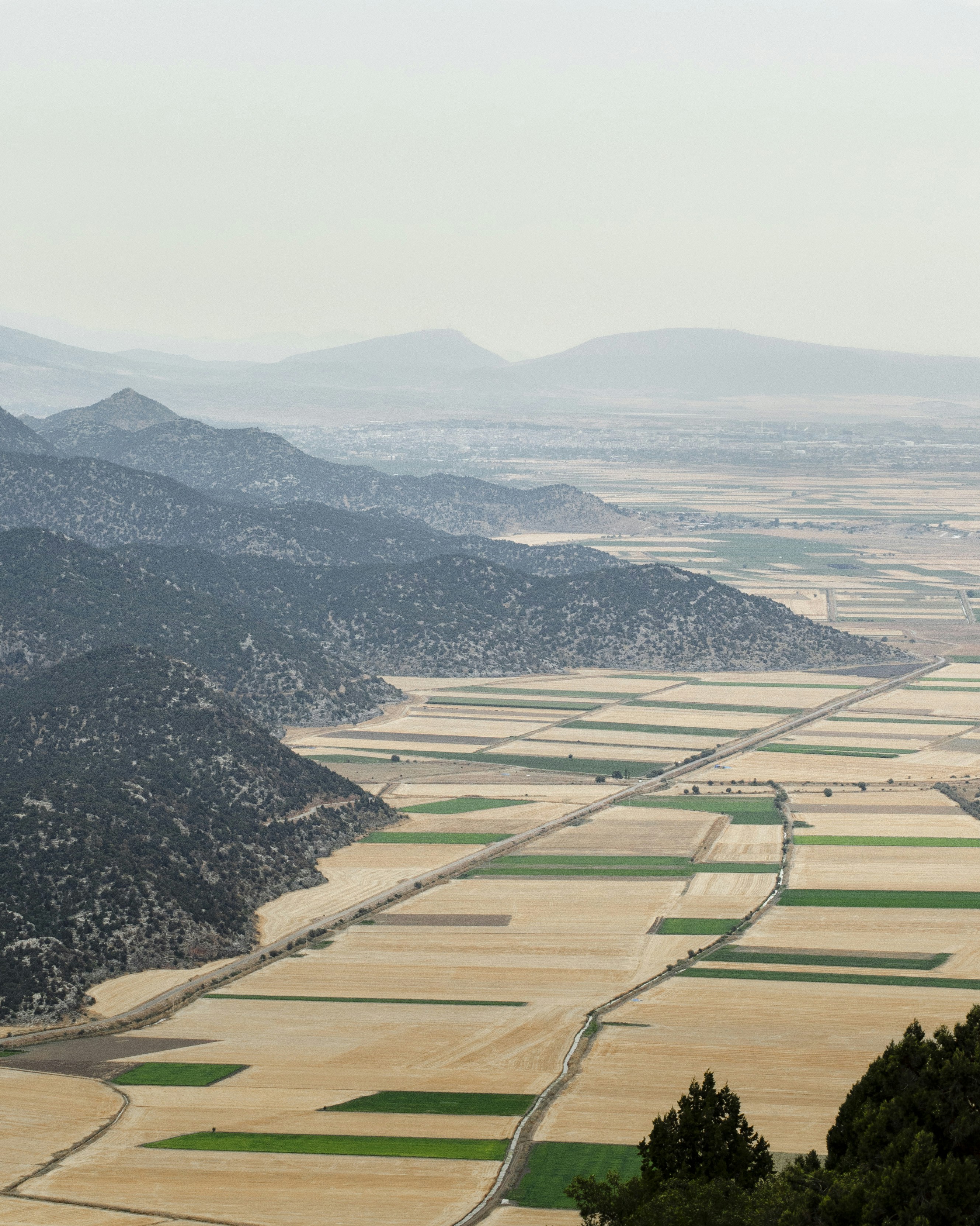 A view of a valley with a lot of green fields photo – Free Wallpaper ...
