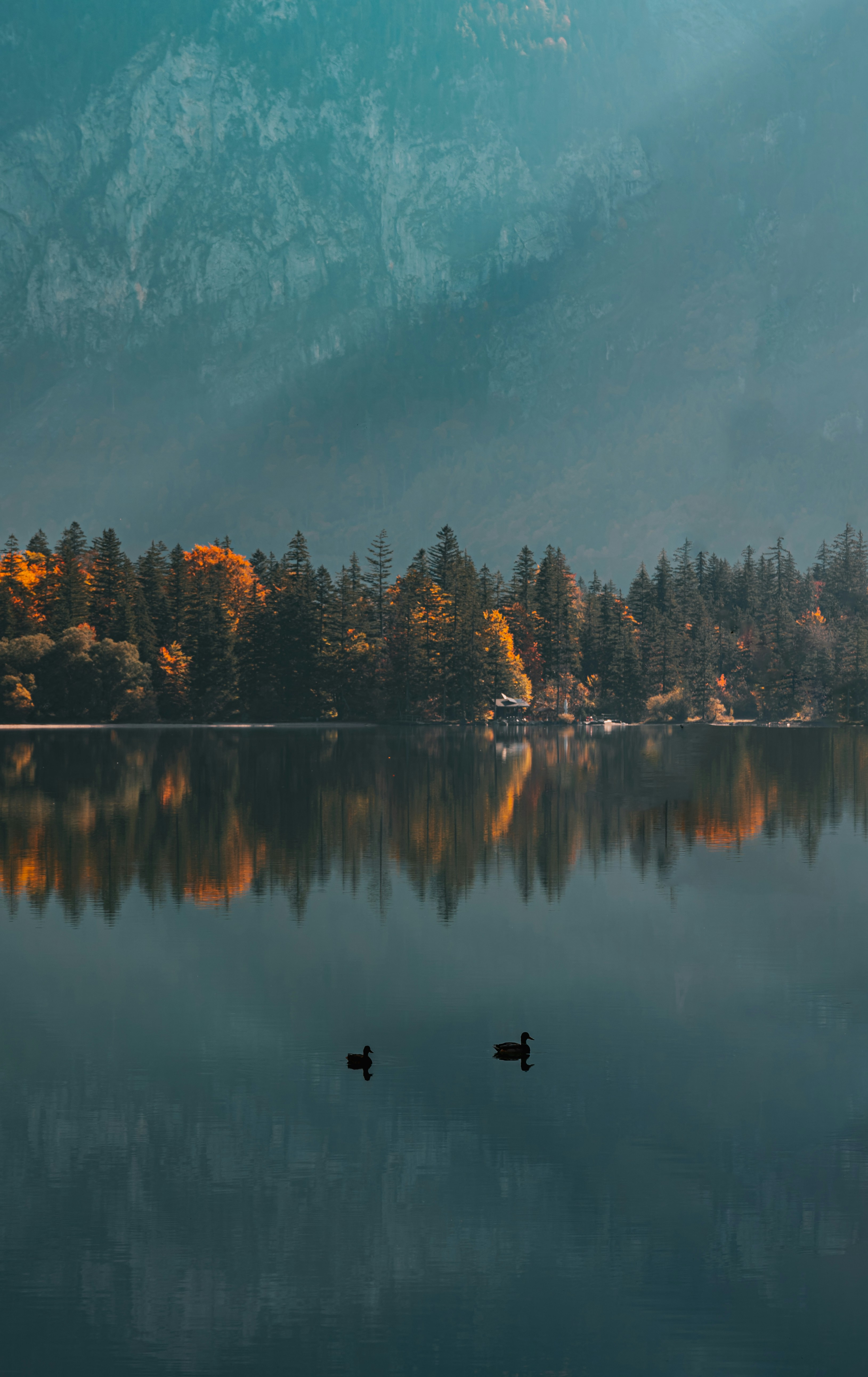 Calming Background Pictures | Download Free Images on Unsplash