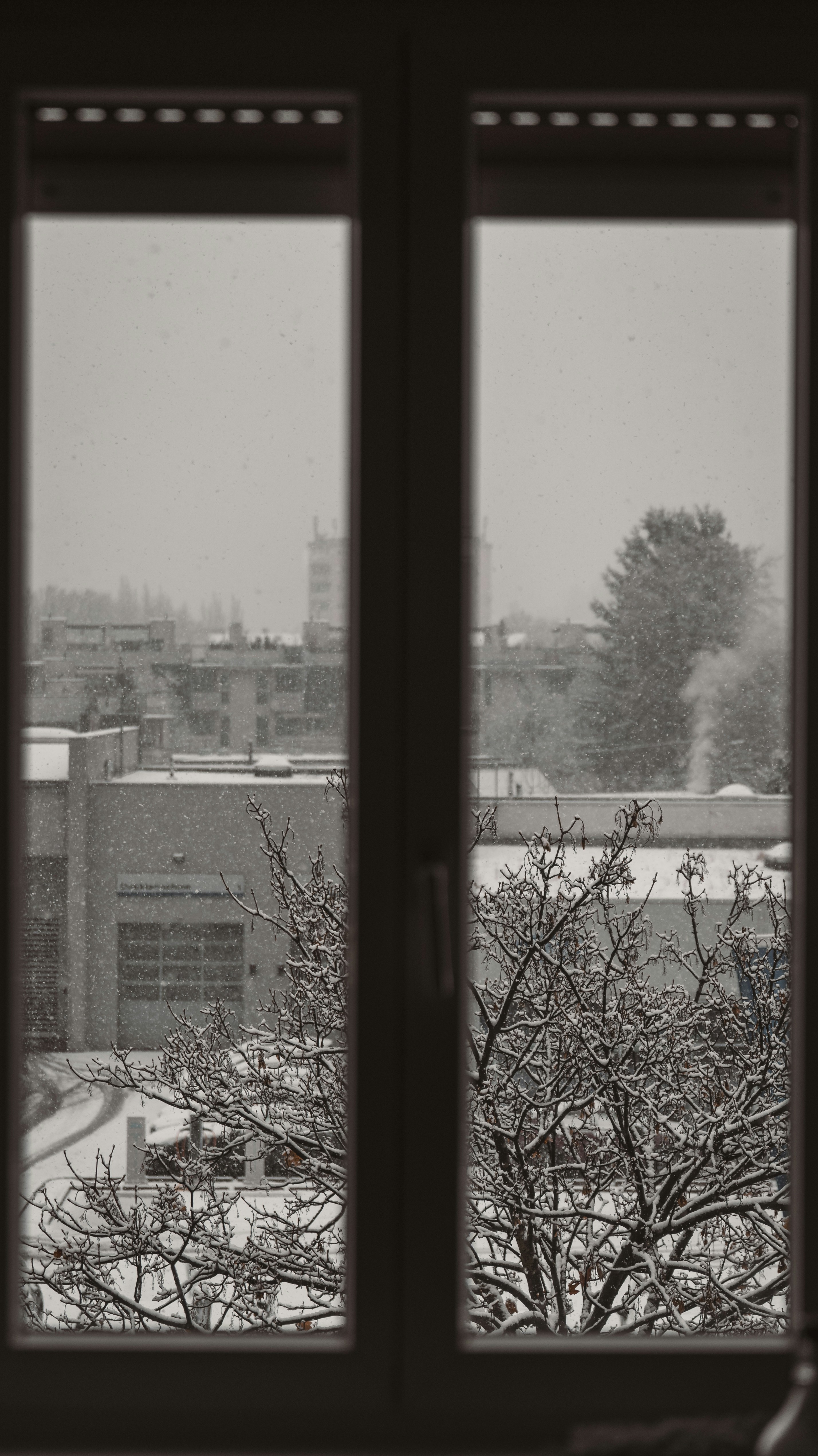 Two-Pane Winter Echo: Snow Framing a Quiet City