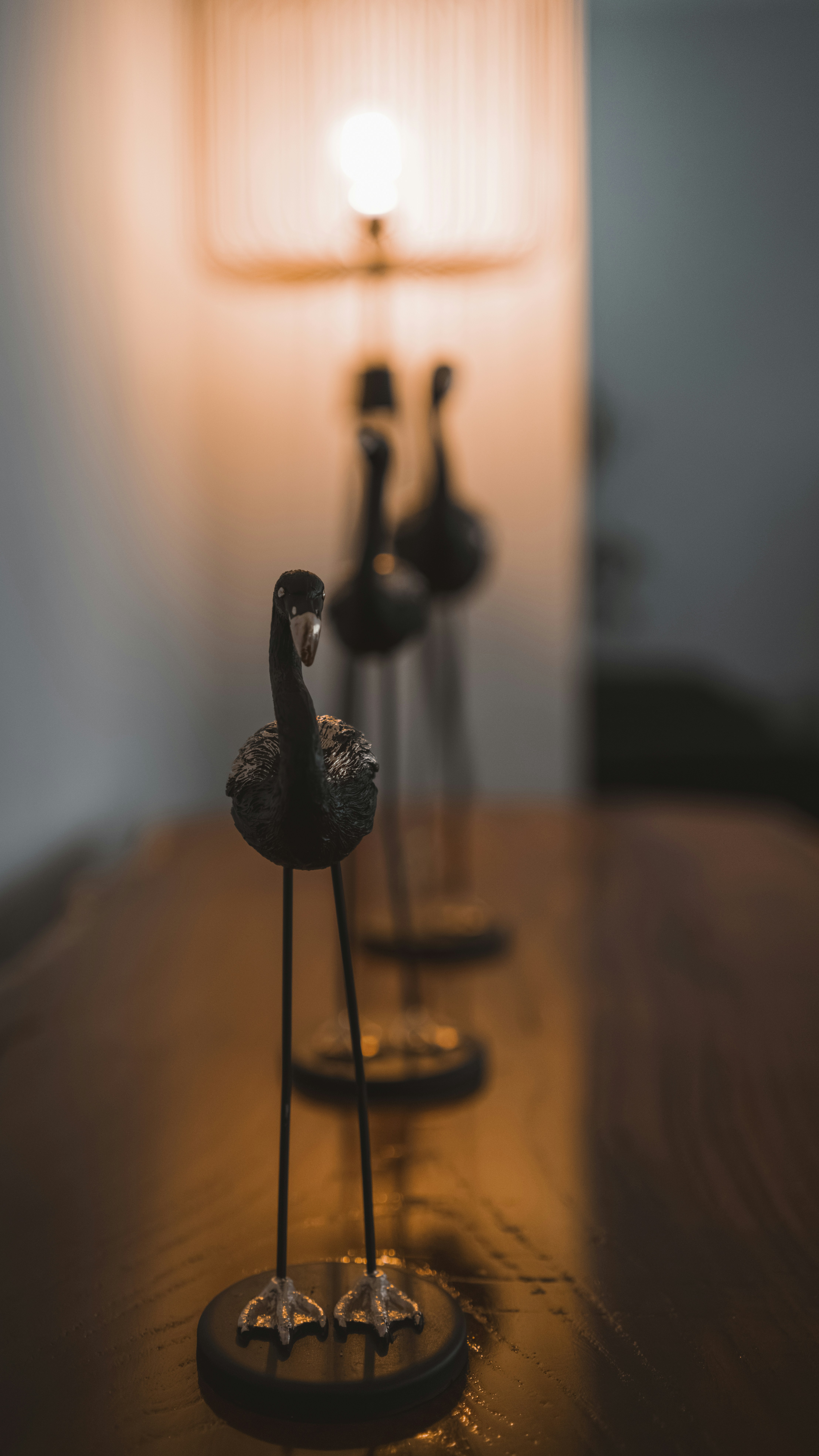 Amber Glow Lineup: Flamingo Figurines Anchored by a Desk Lamp