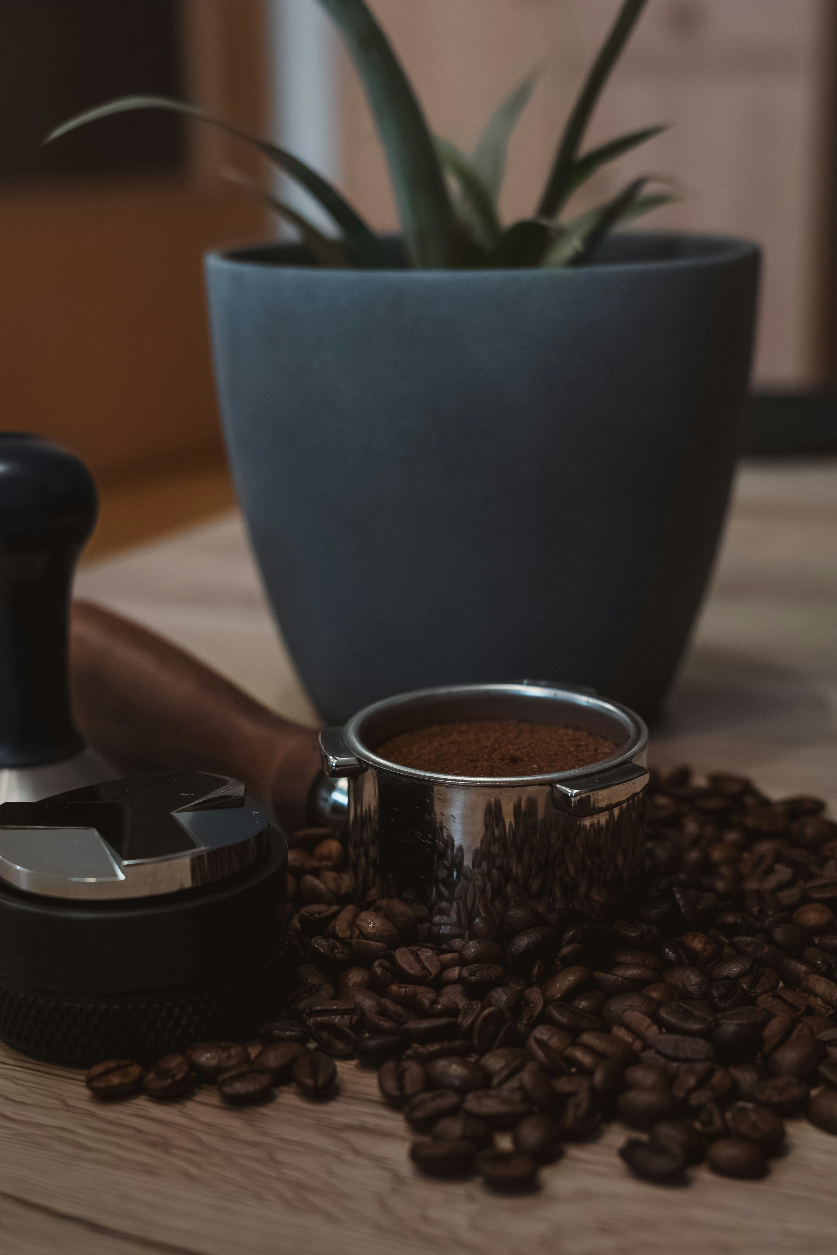 A Quiet Espresso Portrait: Gleaming Portafilter Amid Coffee Beans