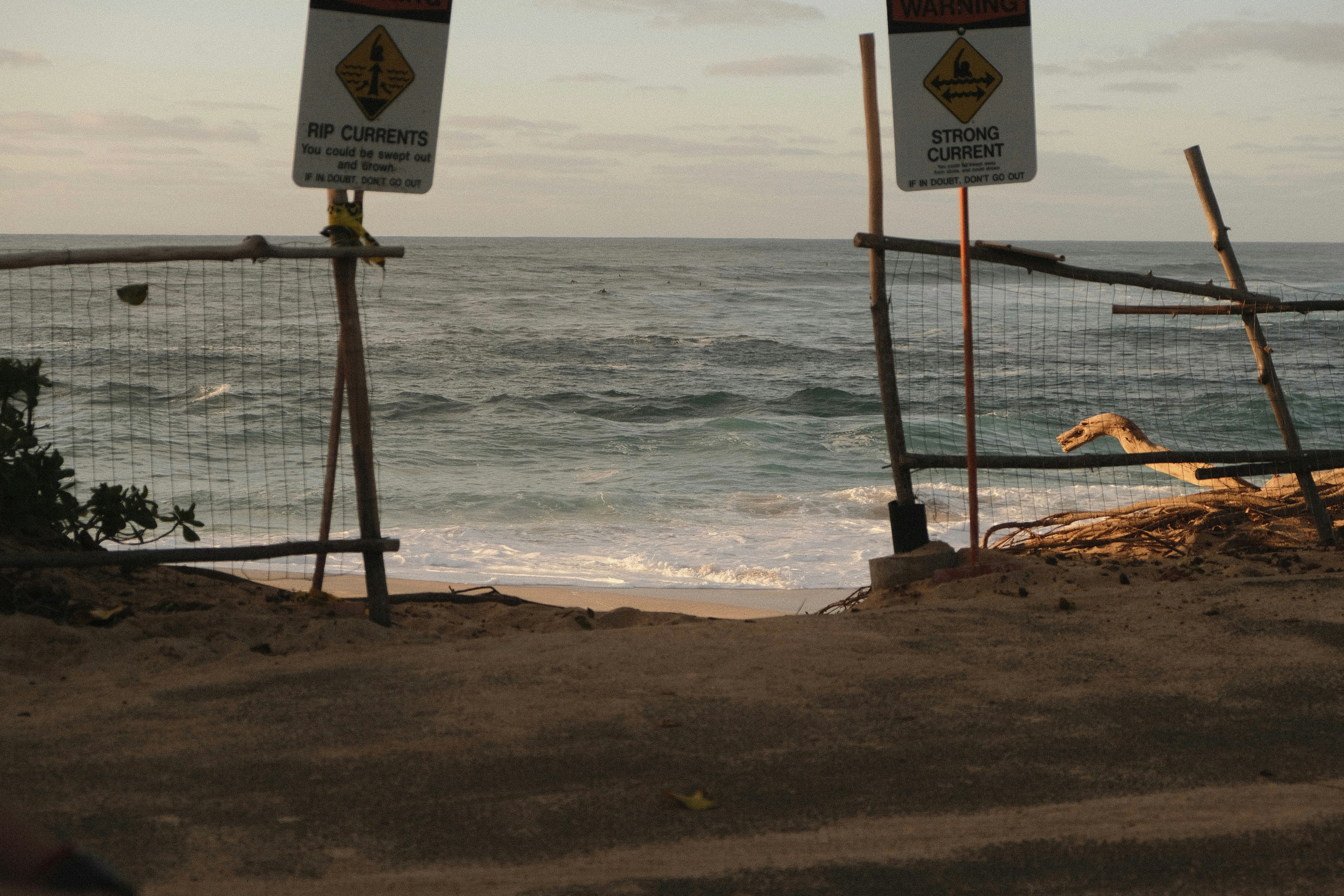Ocean Bulletin Board Border Pictures | Download Free Images on Unsplash