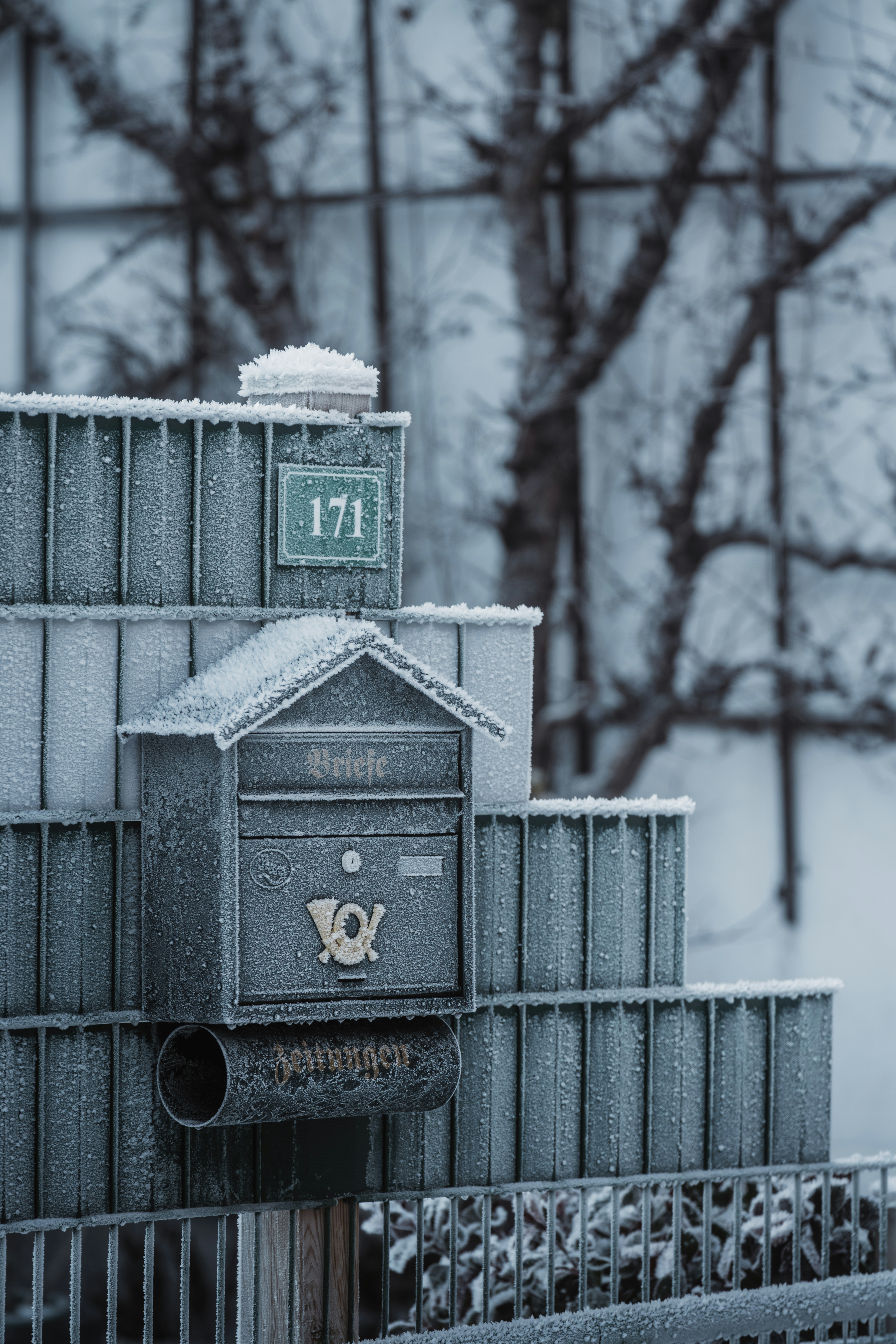 Frosted Mailbox in Winter
