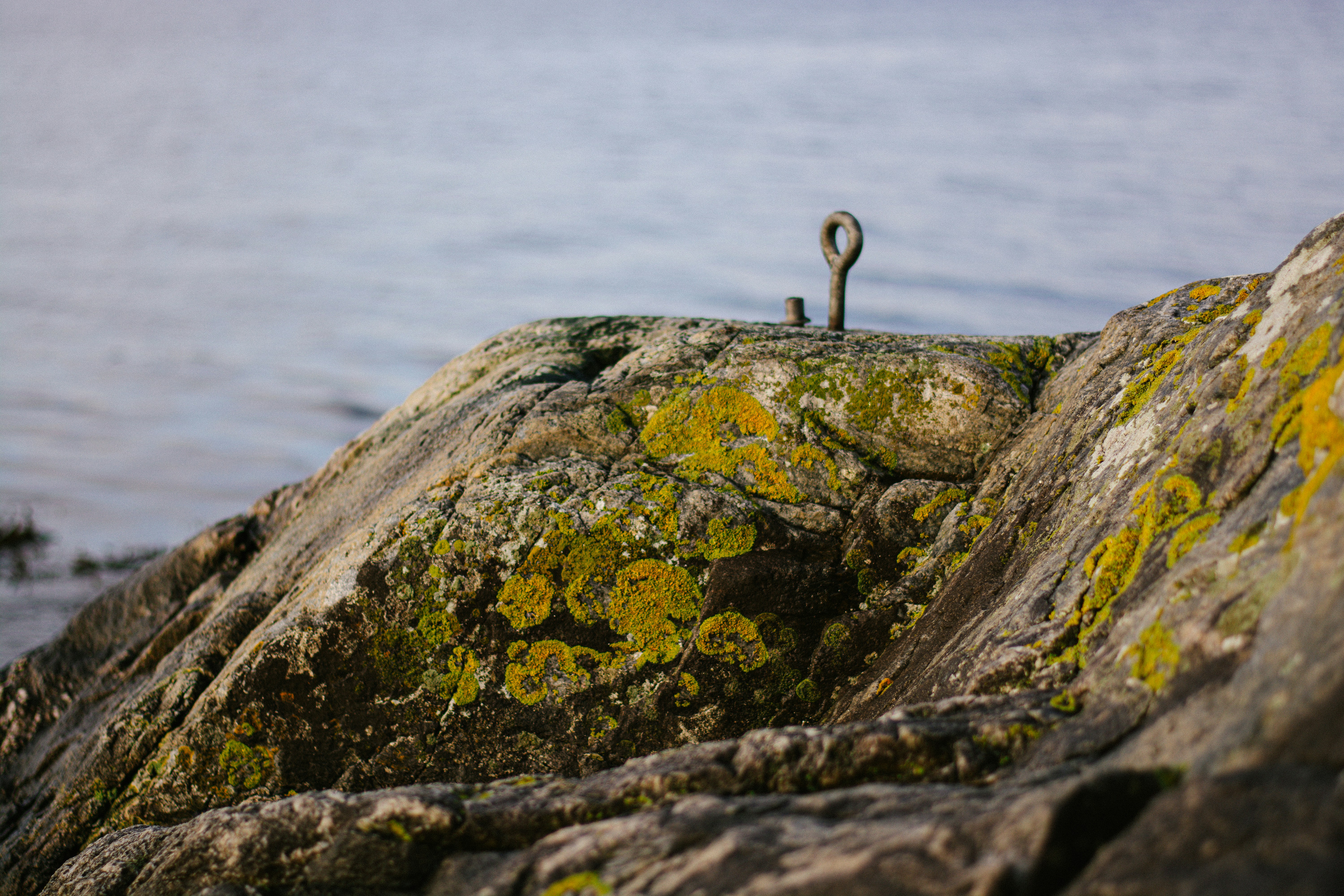 Rust and Rock: A Weathered Ring of Sea-Stained Stone