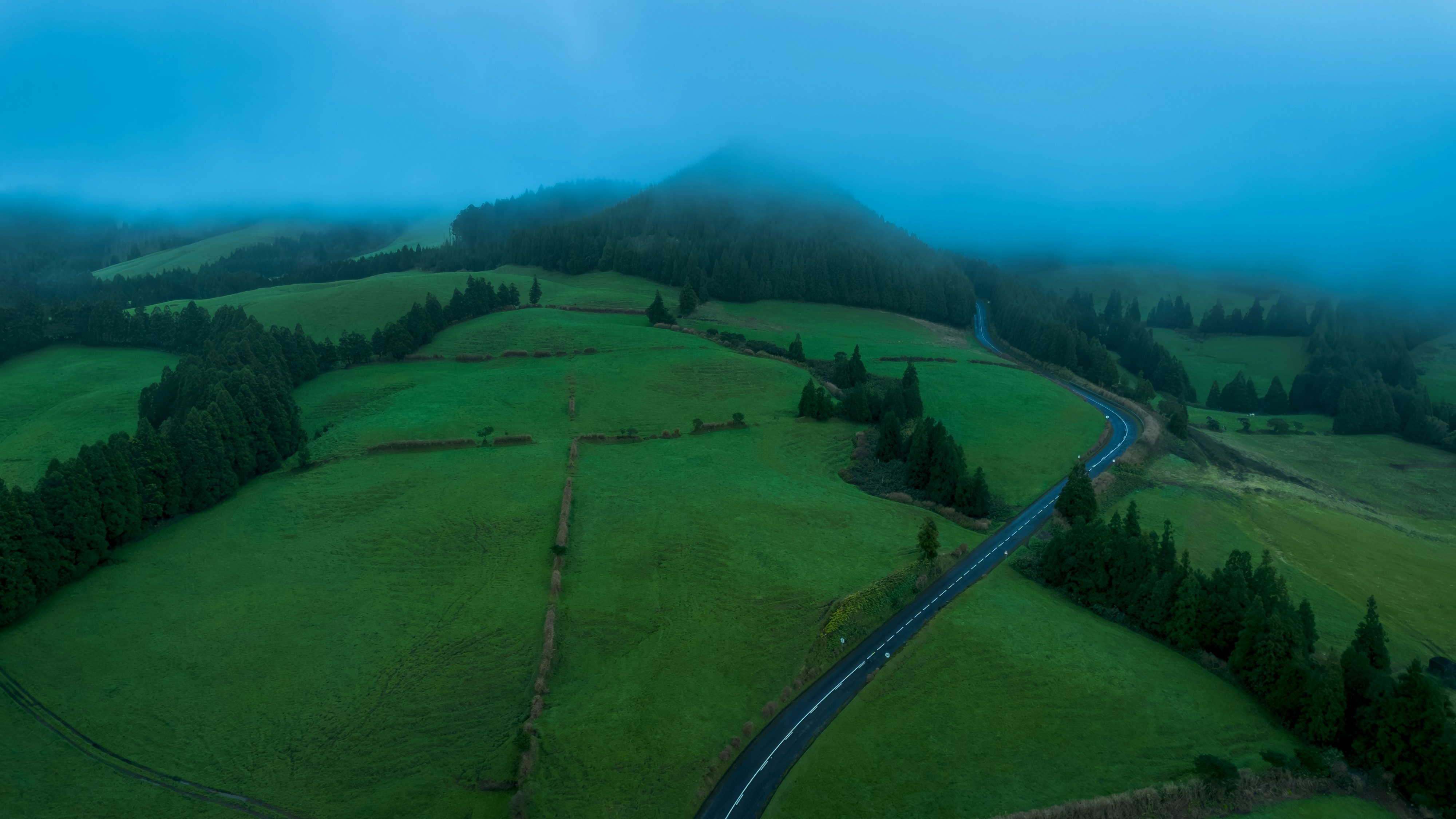 Misty road winds through lush, green fields under a dense fog, creating a serene landscape.