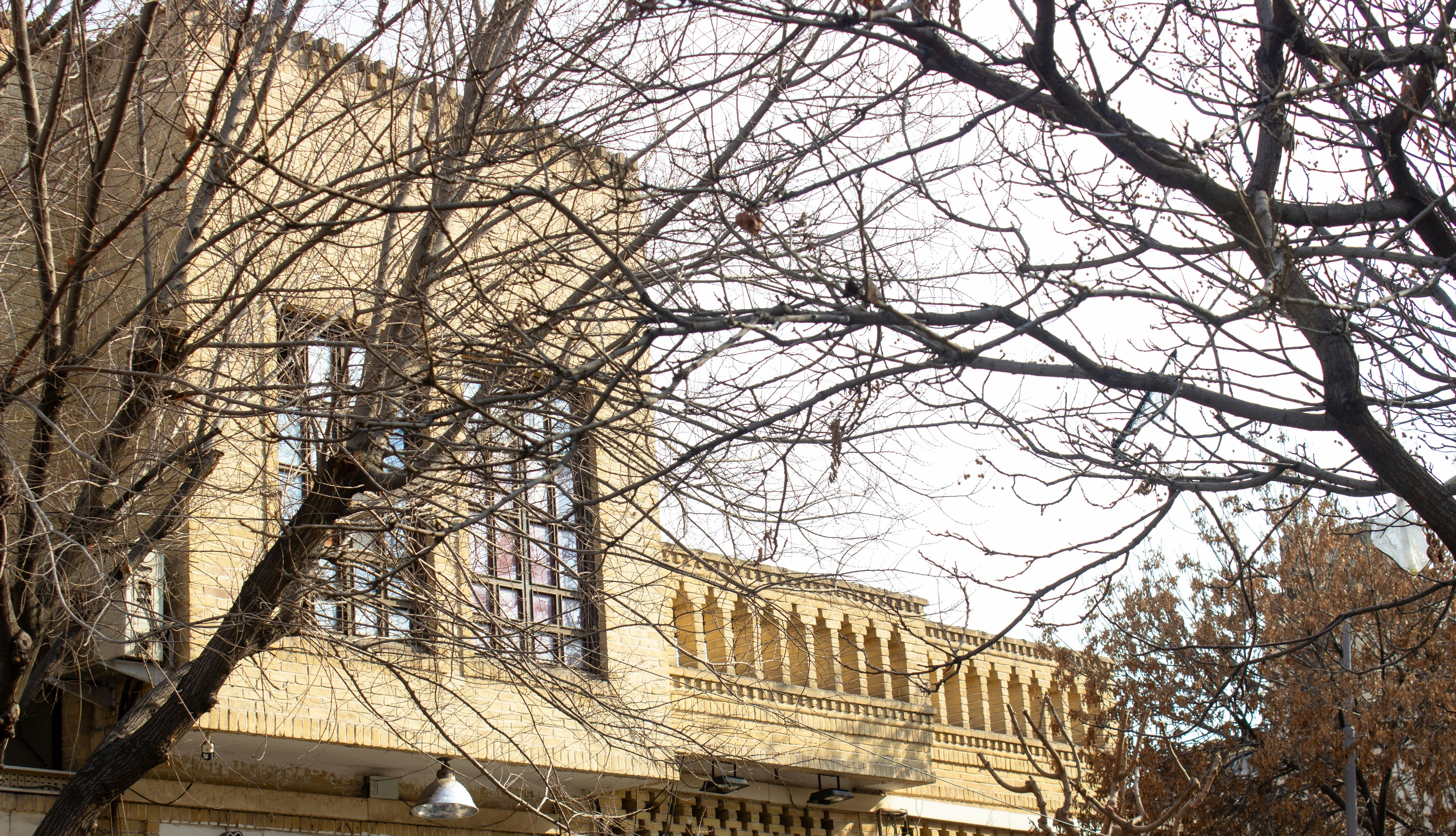A historic building framed by bare branches, showcasing intricate architectural details and a colorful window. The scene reflects the blend of nature and urban life.
