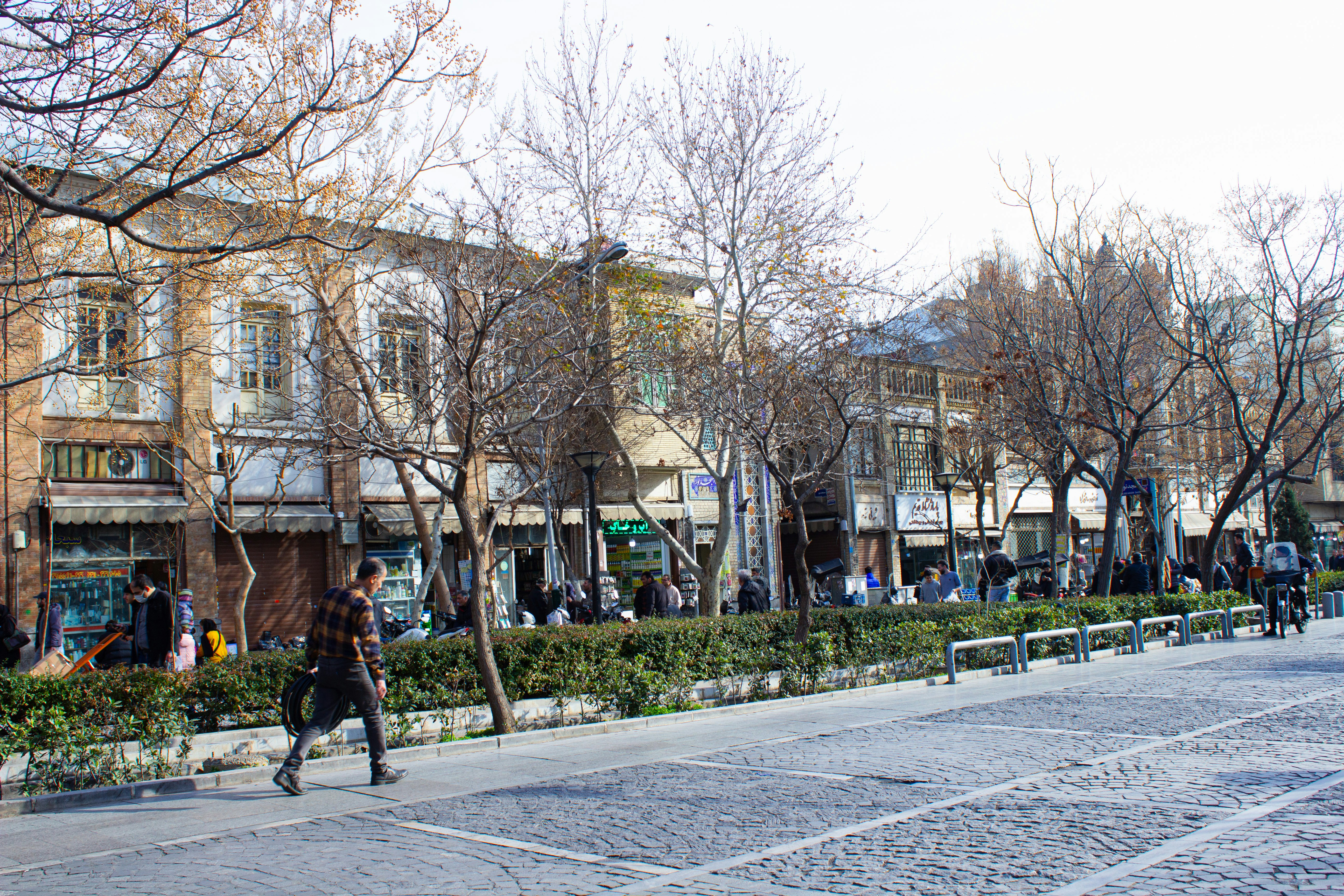 Cobbled Boulevard: Quiet Pedestrian Amid Shops and Bare Trees