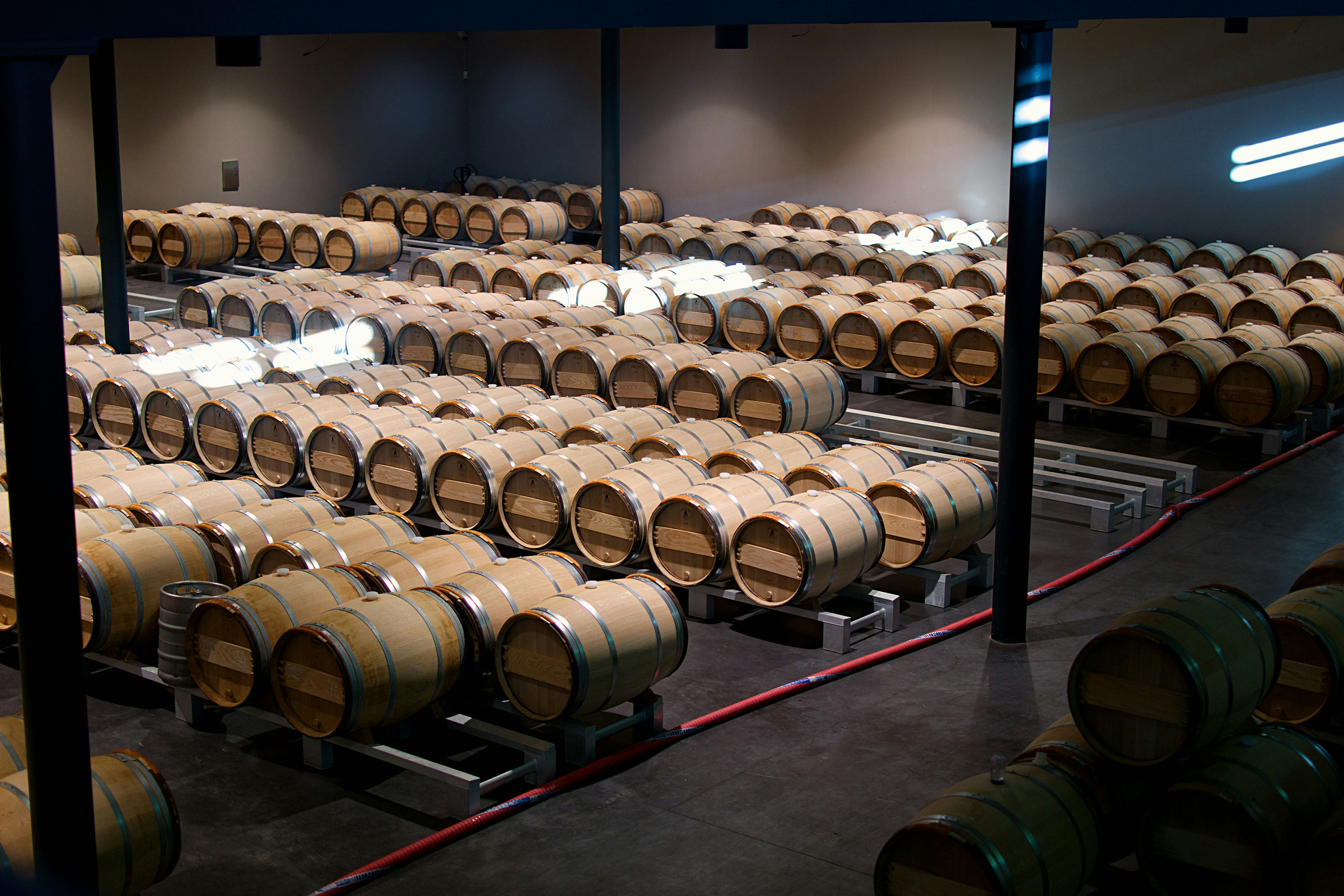 Rows of wooden barrels neatly arranged in a dimly lit winery cellar.