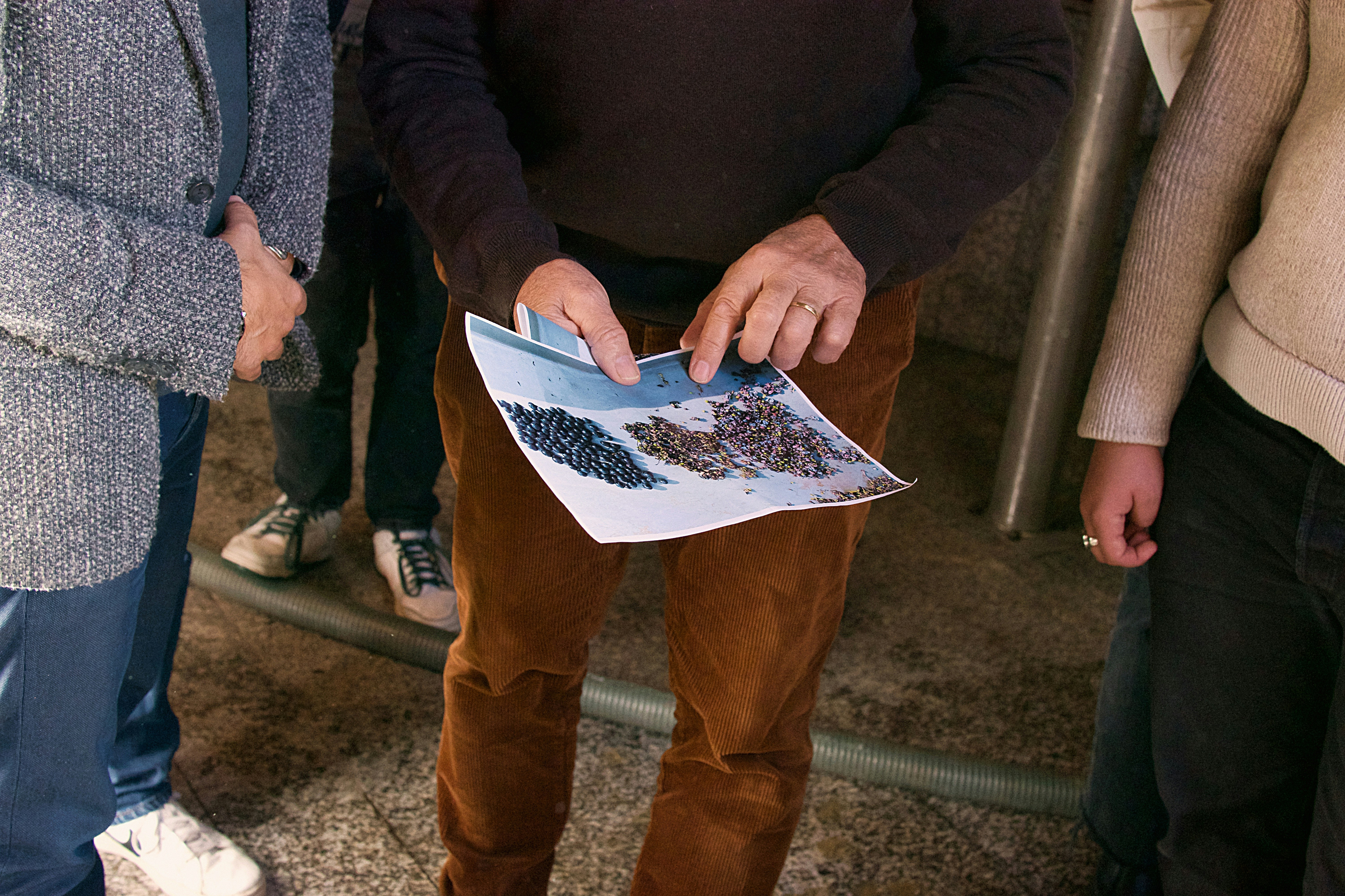 Hands examining a printed sheet displaying various textures and colors, surrounded by engaged individuals. The focus is on the tactile exploration of materials.