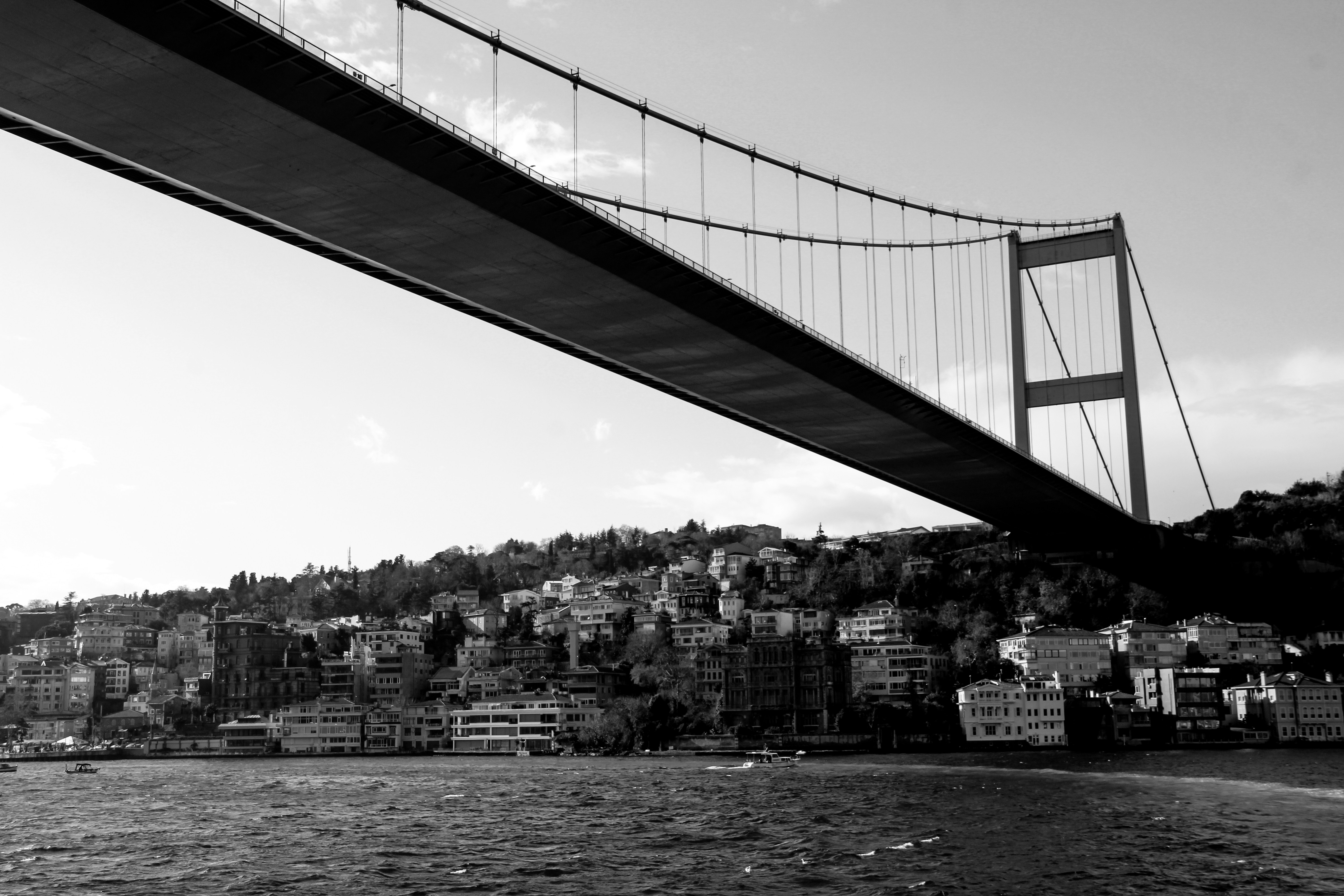 Urban Elegance: Shadows and Steel