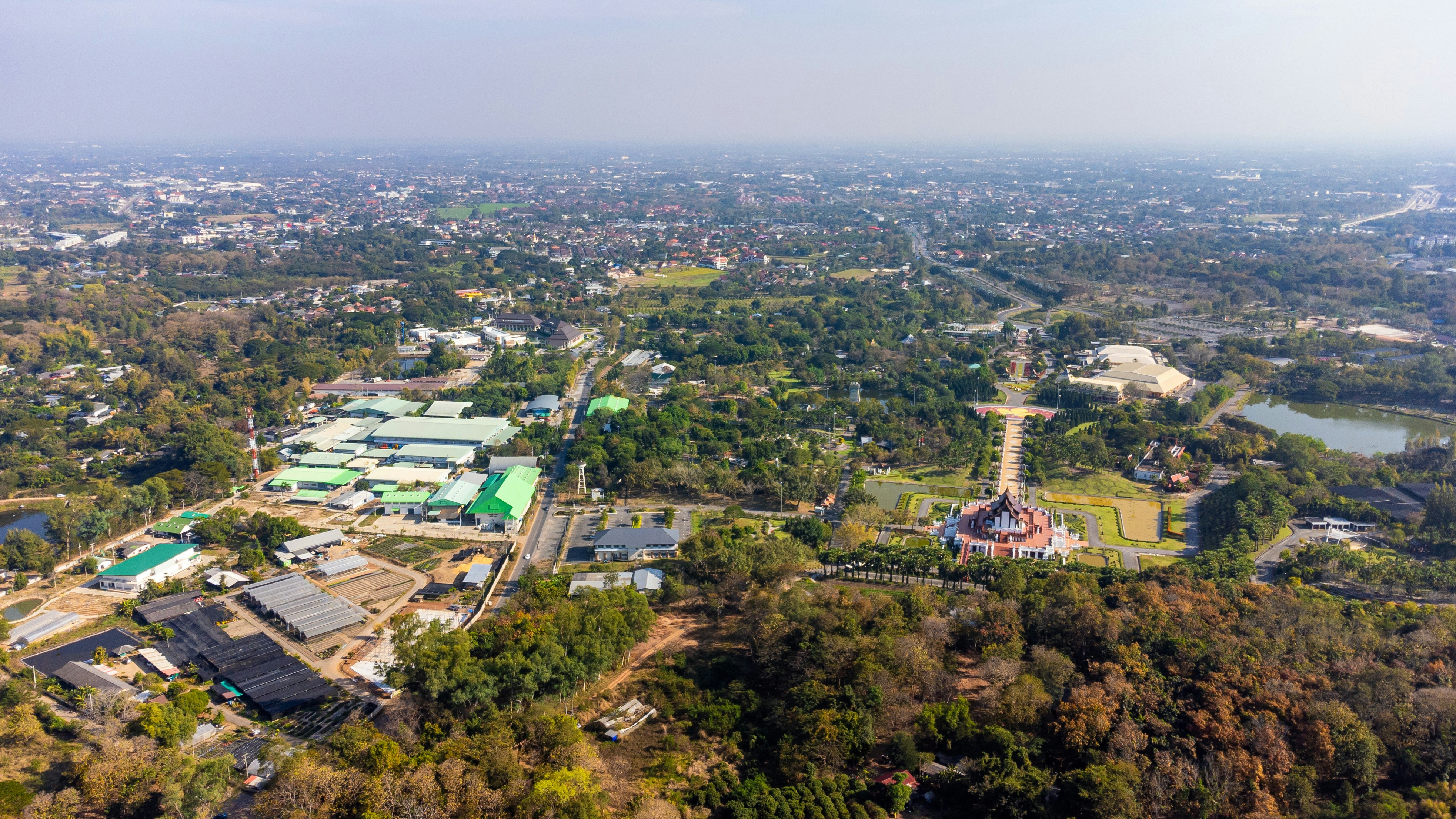 Aerial view showcasing industrial buildings with green roofs blending into expansive greenery and distant cityscape under a blue sky.