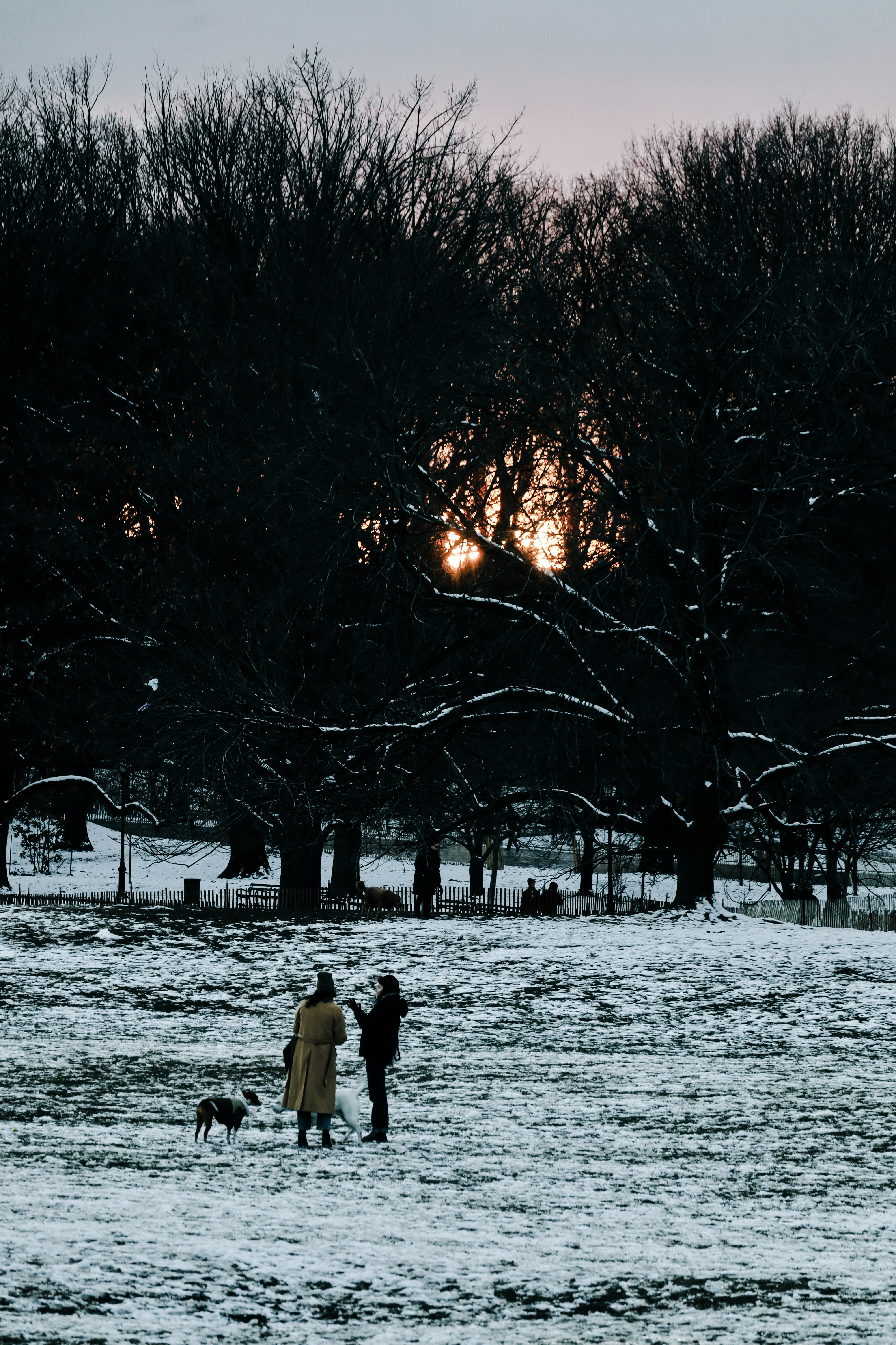 Two figures converse in a snowy landscape, accompanied by a dog, as the sun sets behind silhouetted trees.