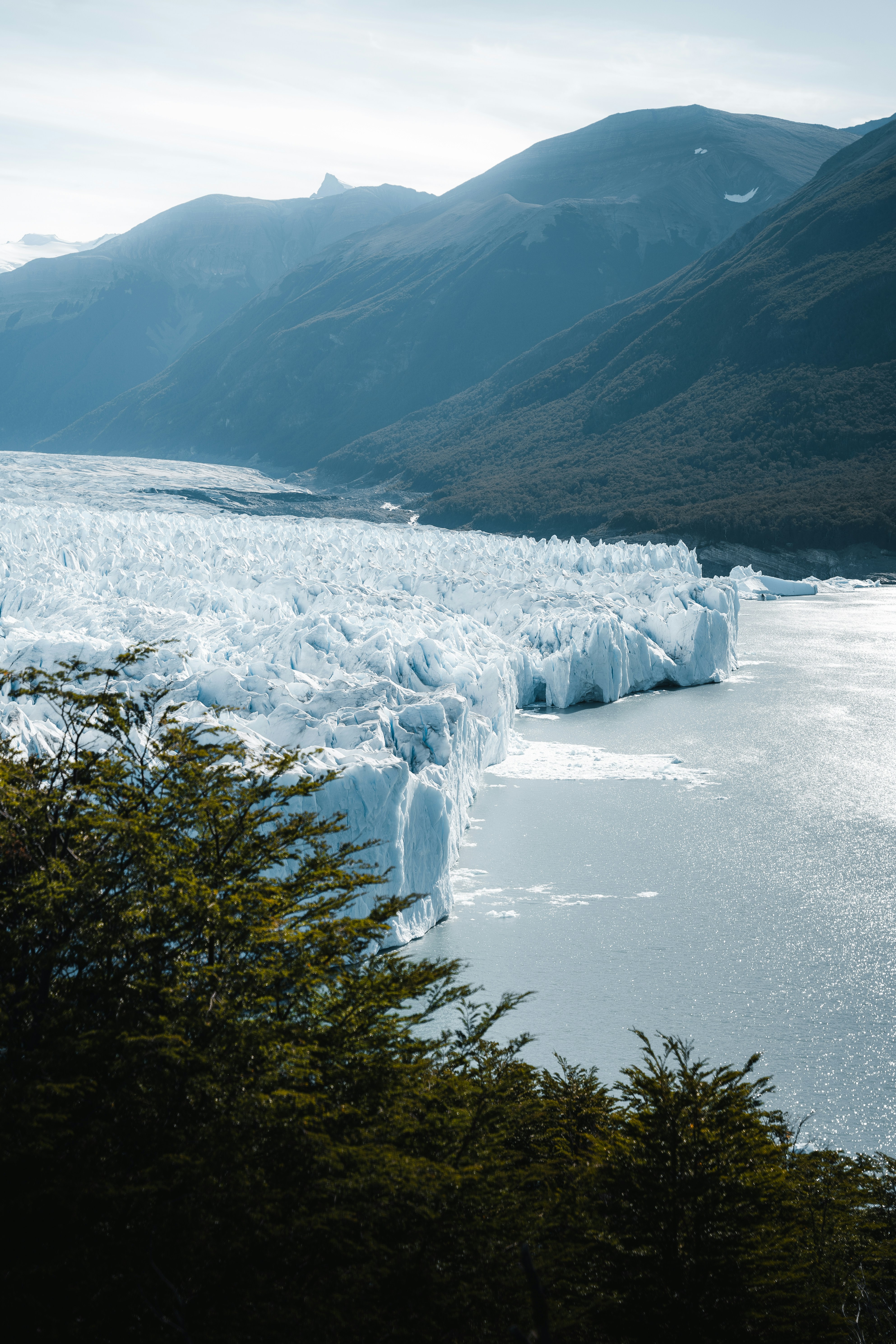 Glacial Edge: Ice Rising from Fjord Where Mountains Meet Light